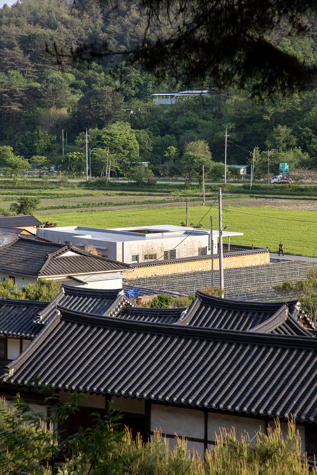 Onhyeri Jung Youngja House by Narrative Architects - Architizer