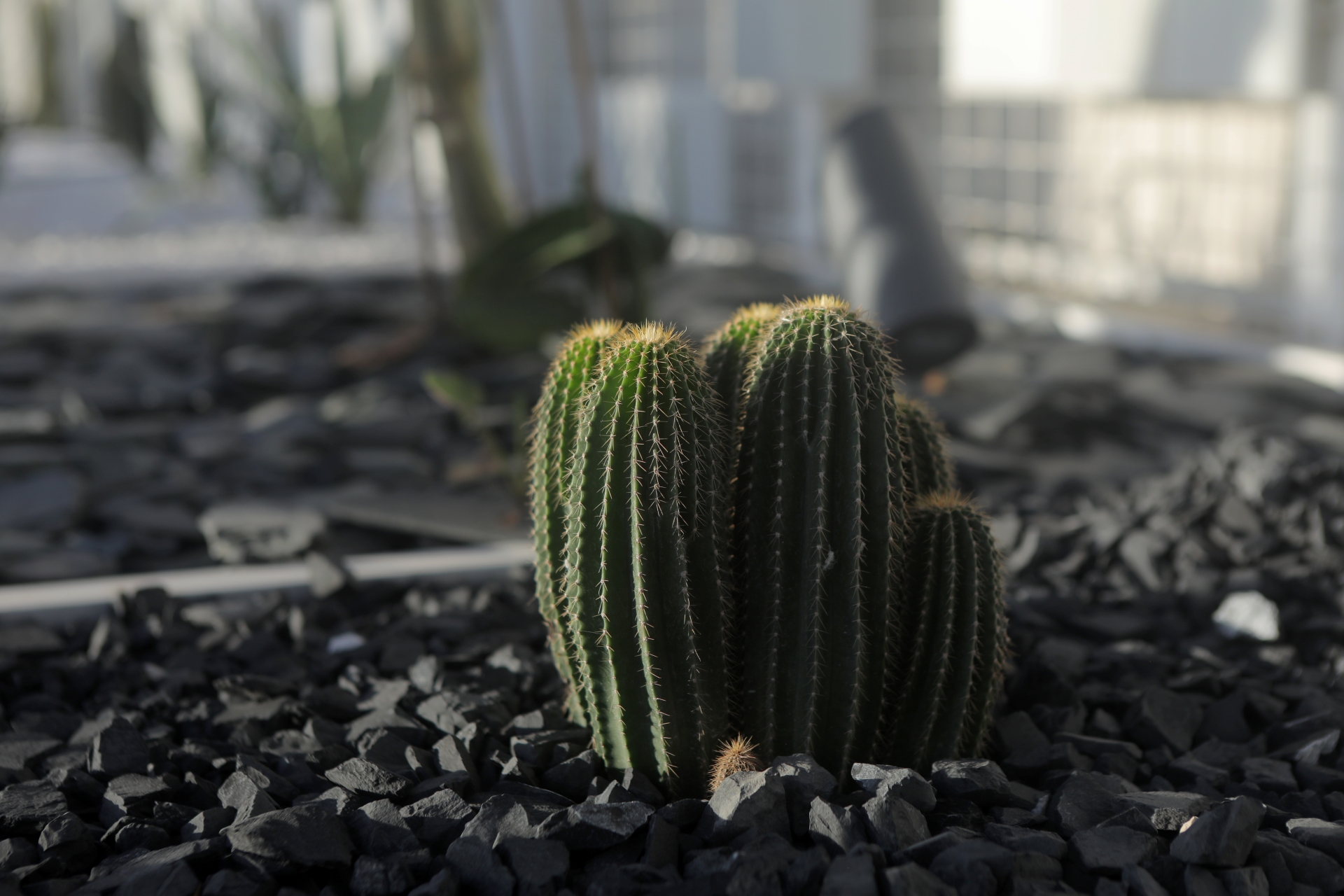 Idea 4118719: Shanghai WLA Artificial Intelligence Lab Gardens by ...