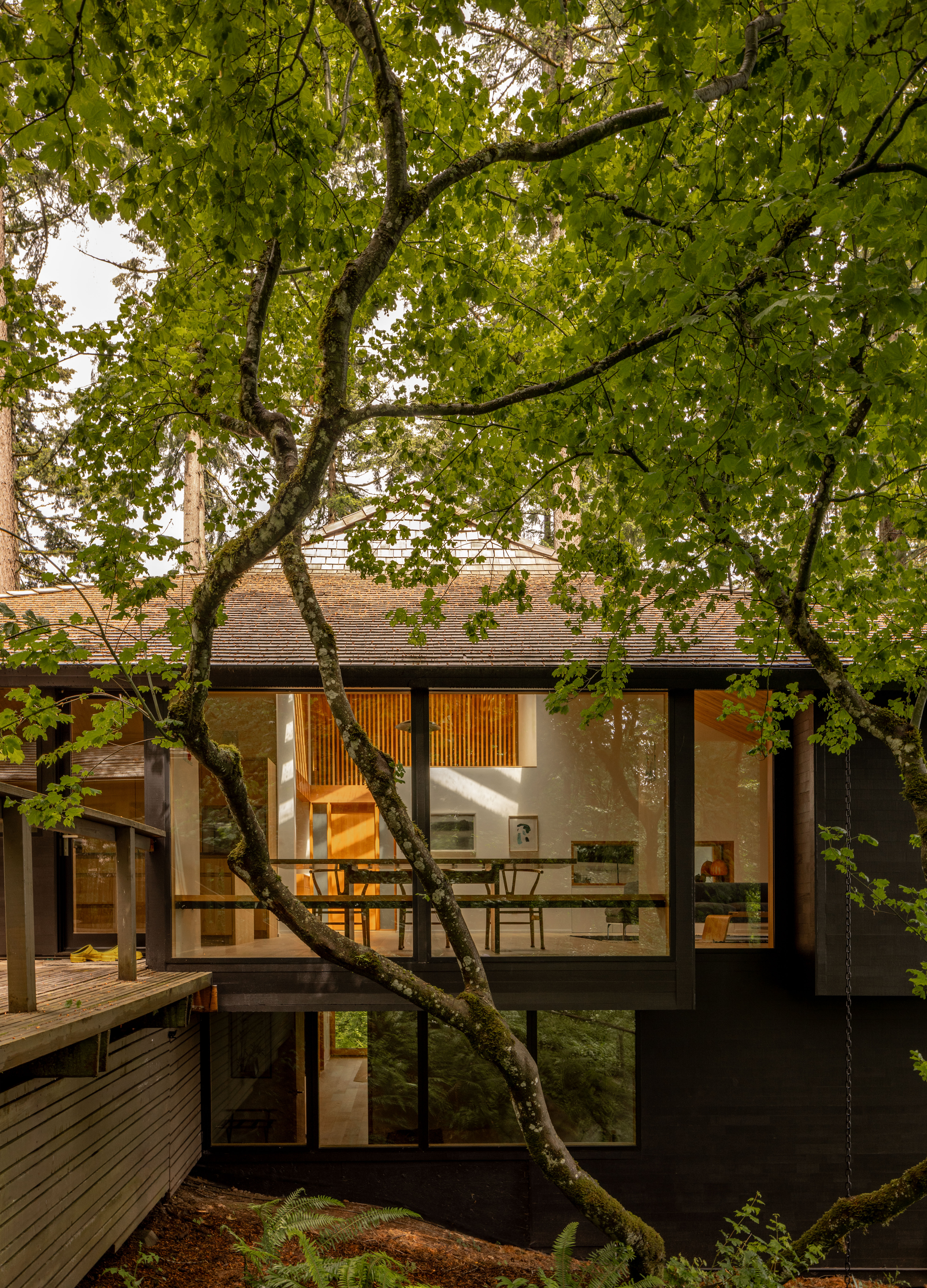 The Mori House by SHED Architecture & Design - Modern Architects ...