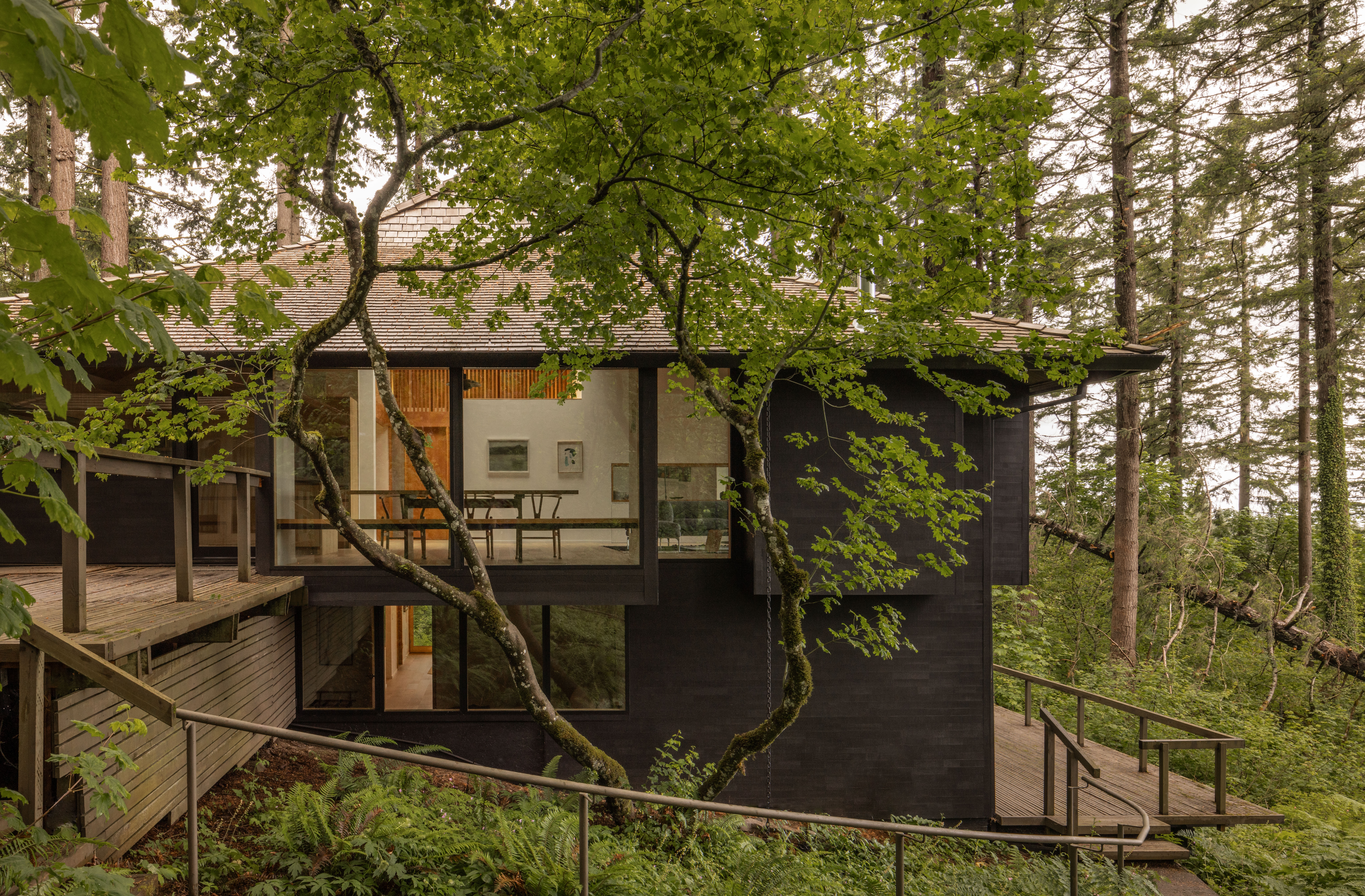 The Mori House by SHED Architecture & Design - Modern Architects ...