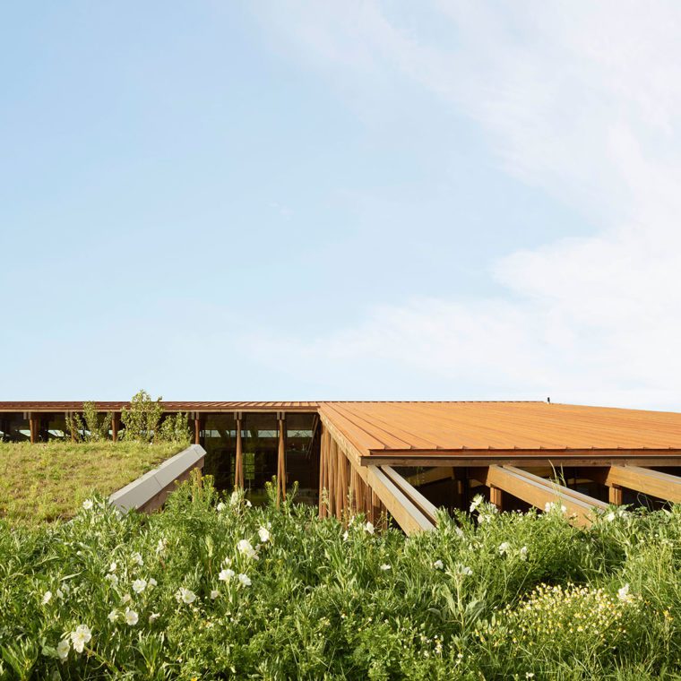 Washington Fruit Company Headquarters - Landscape by The Berger ...