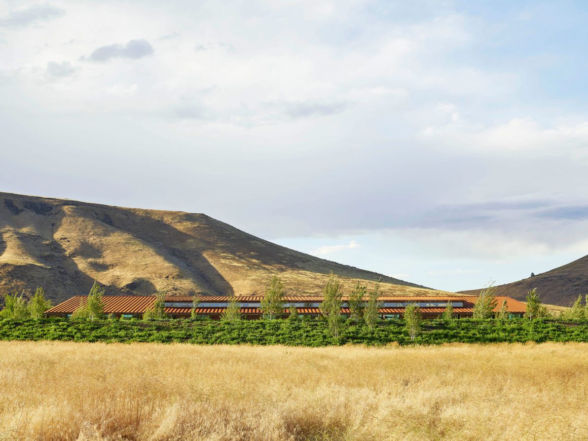 Washington Fruit Company Headquarters - Landscape by The Berger ...