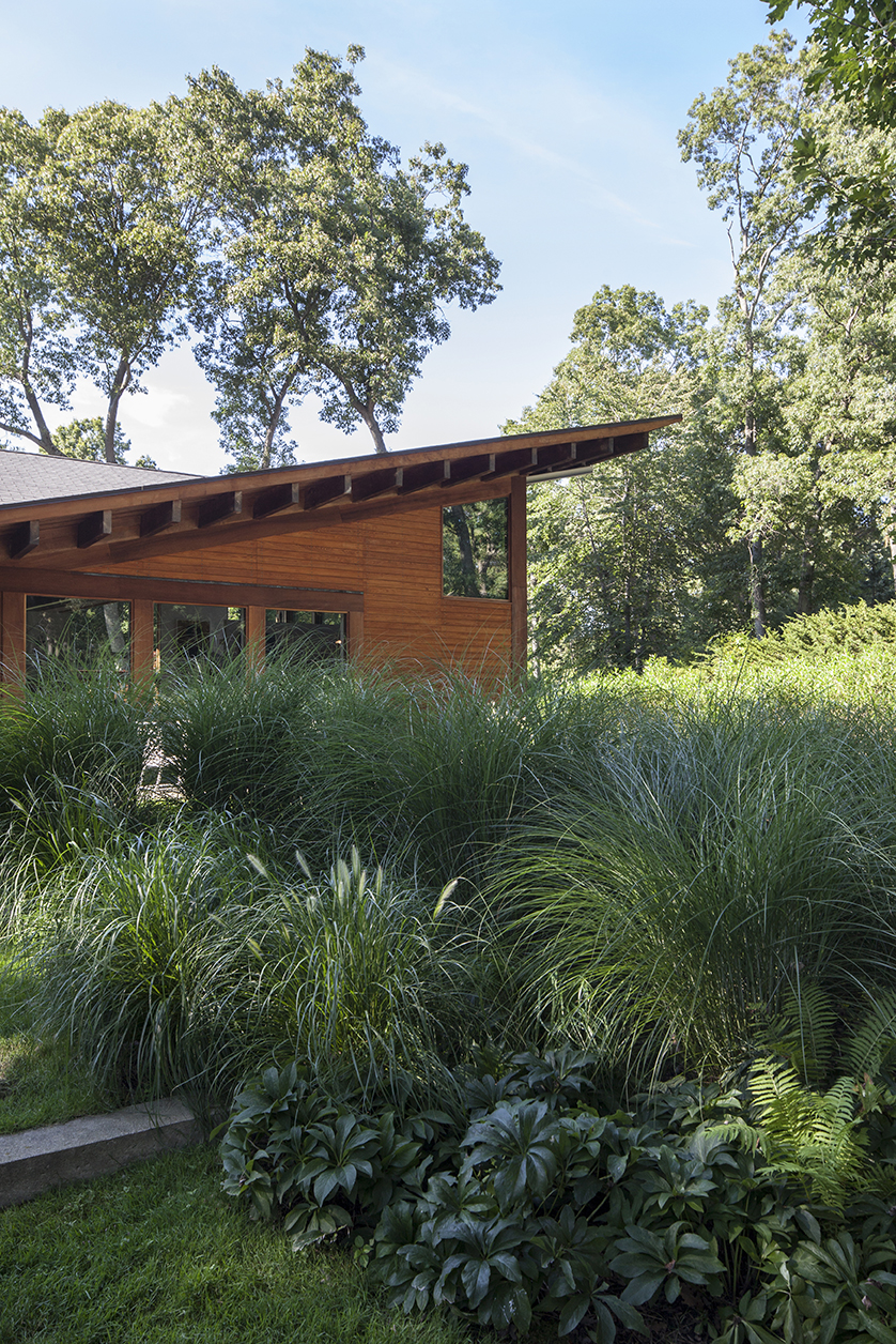 House for a Butcher and an Art Maven by Architecture in Formation ...