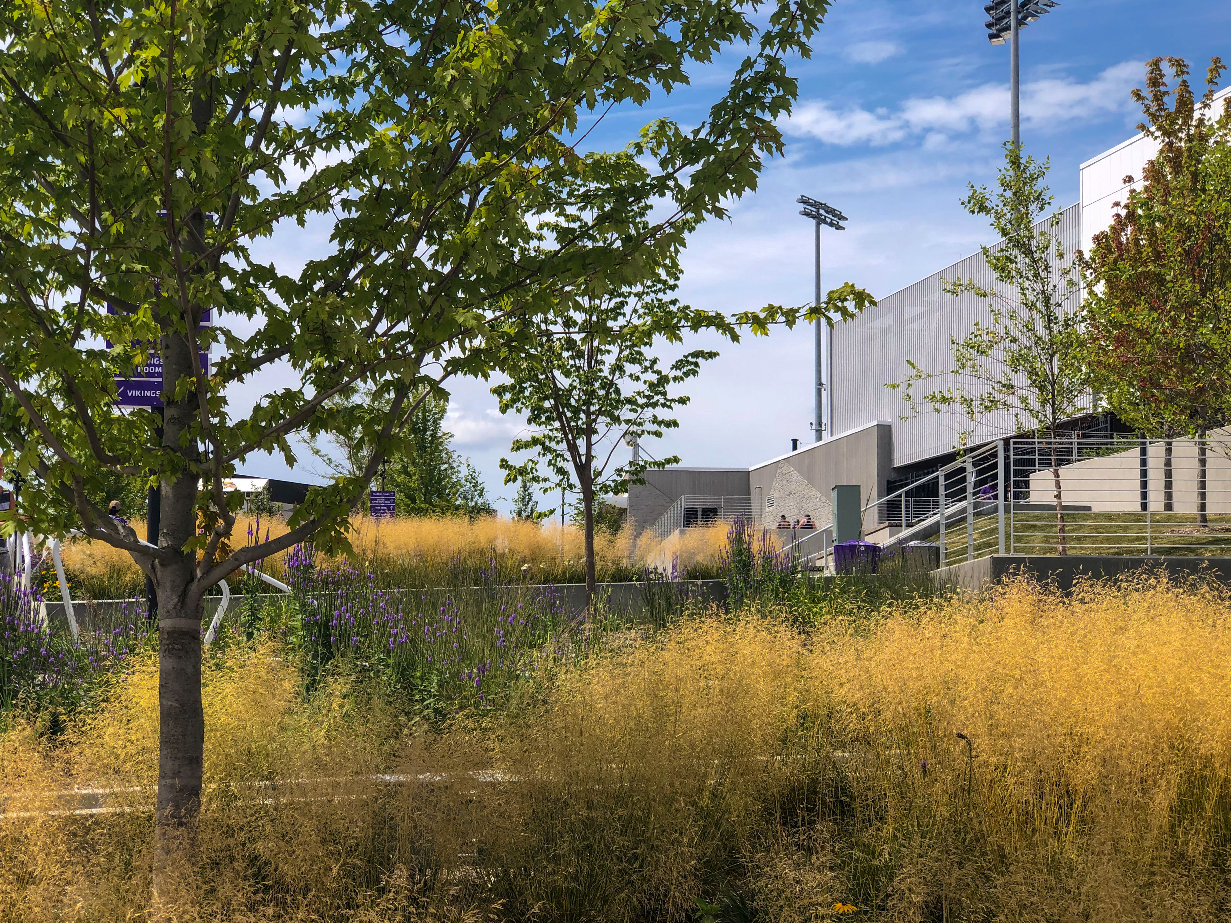 Minnesota Vikings Headquarters: Practice Facility and Vikings Lakes ...