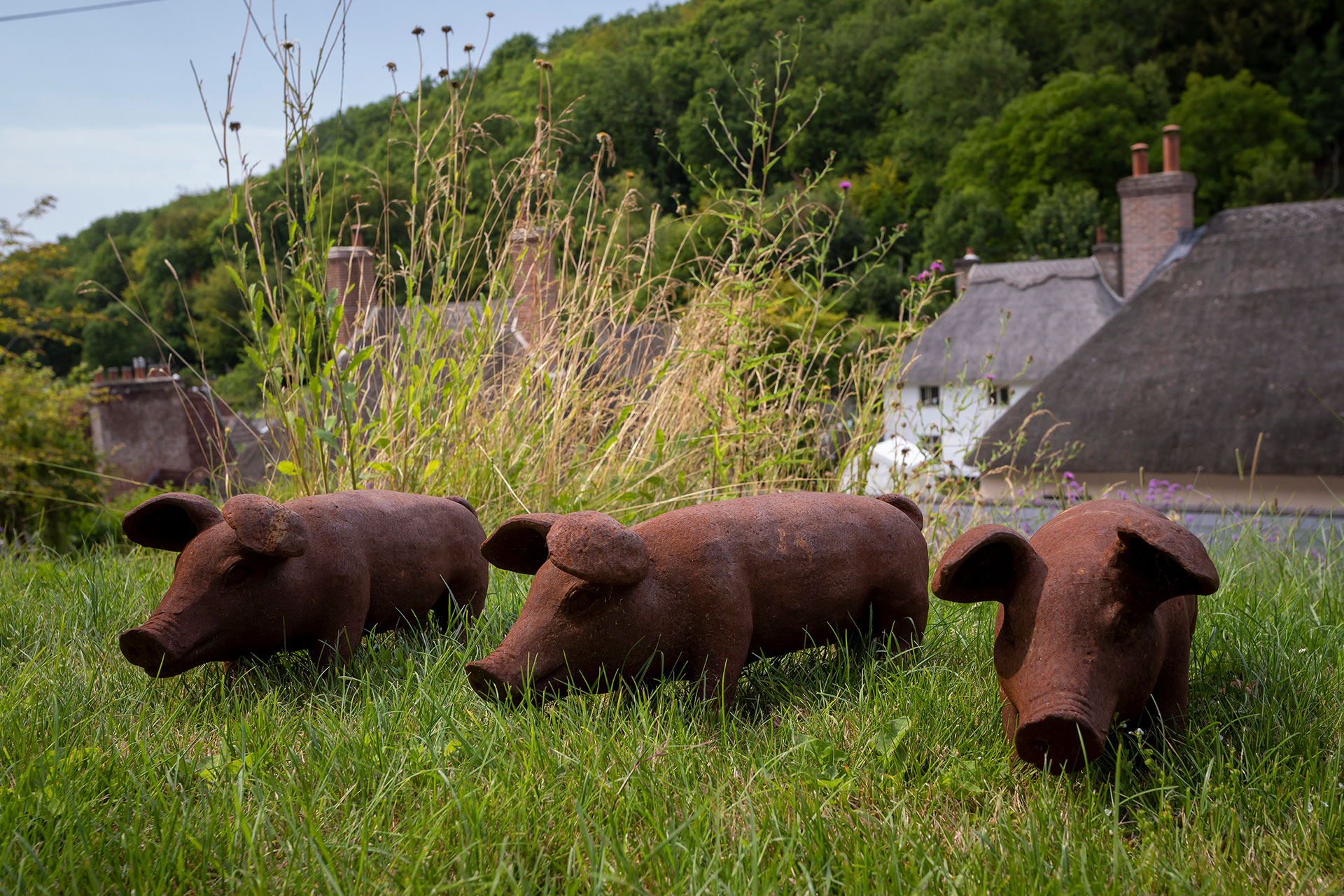 Three Little Pigs by Western Design Architects - Architizer