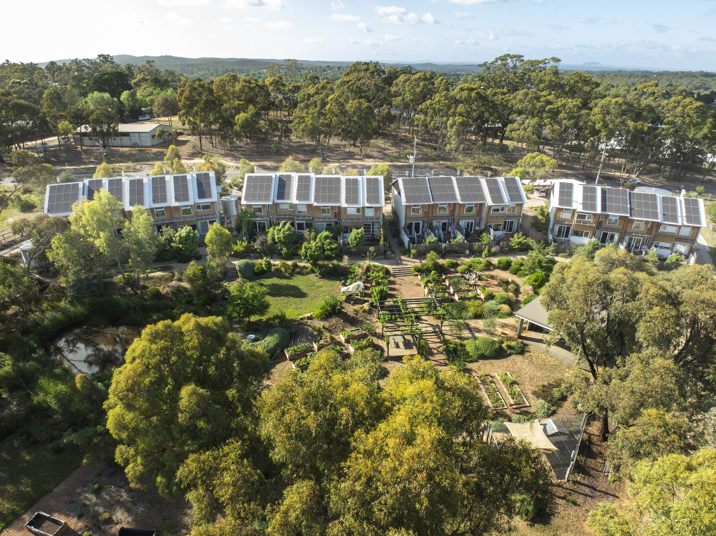 The Paddock Cluster Housing by CROSBY architects - Architizer