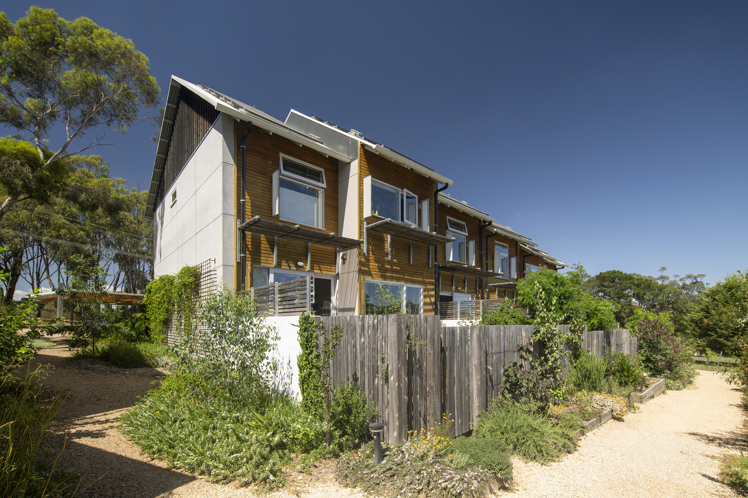 The Paddock Cluster Housing by CROSBY architects - Architizer