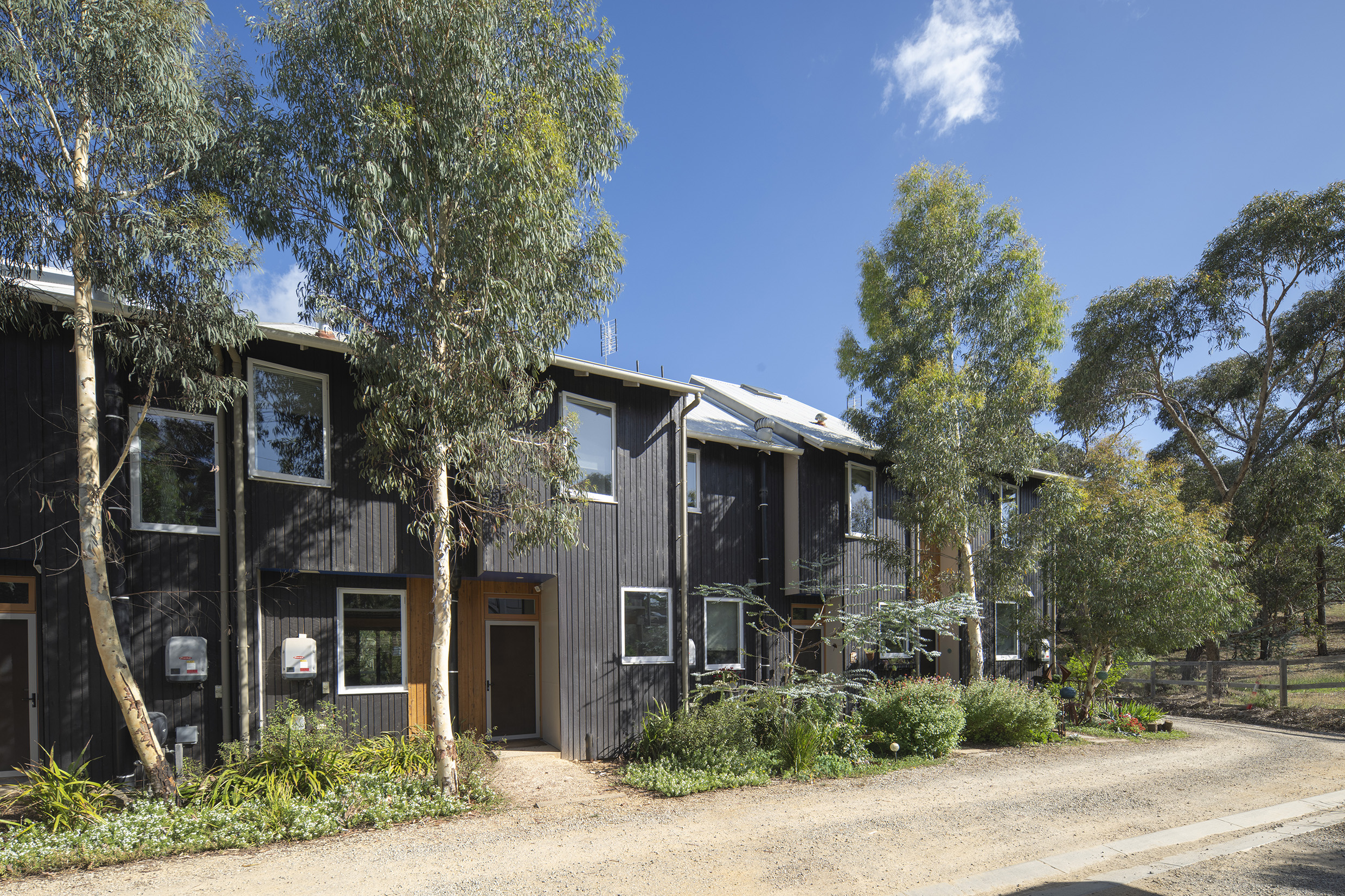 The Paddock Cluster Housing by CROSBY architects - Architizer
