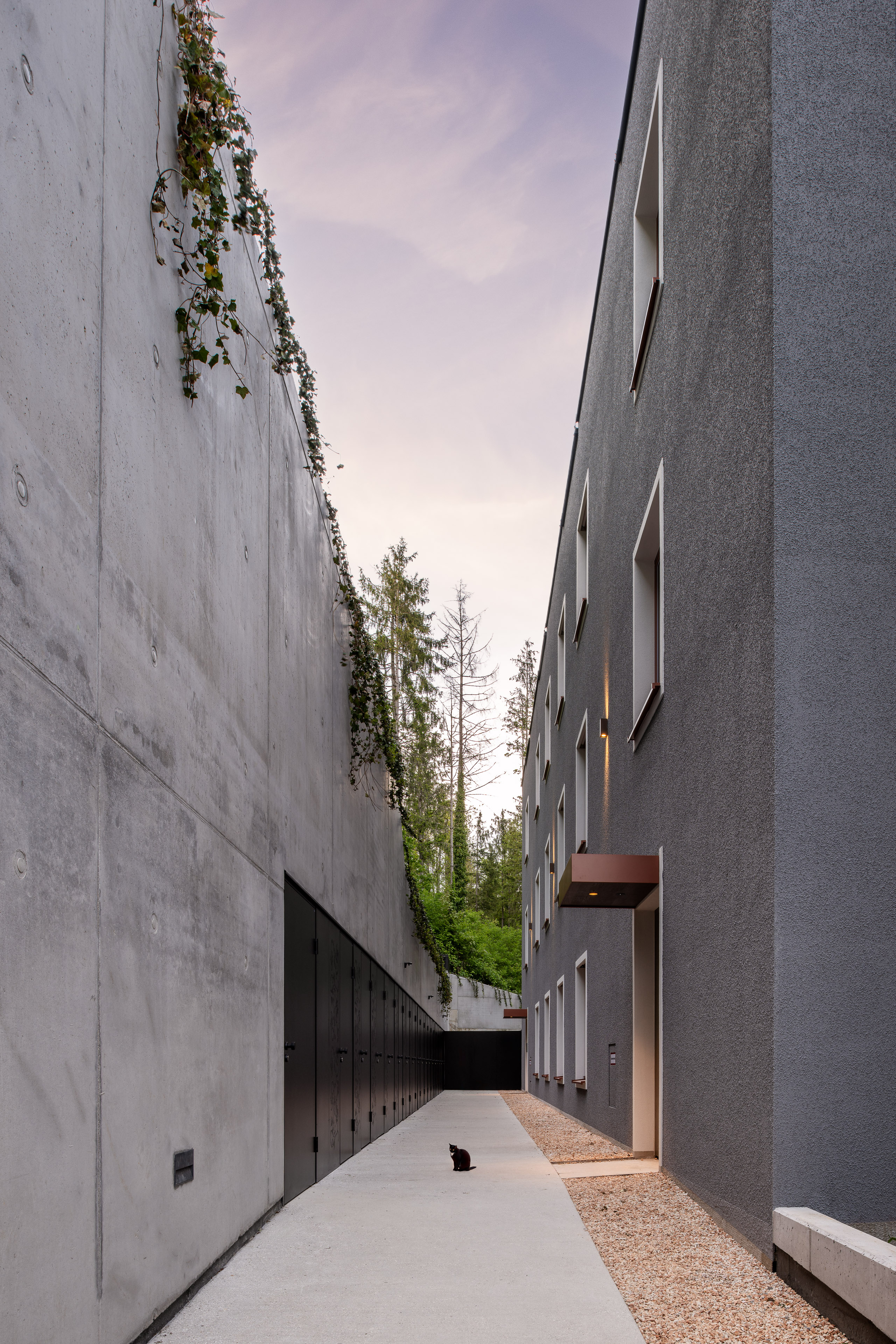 K7 Appartements & Bootshaus by kb+l architektur ZT GmbH - Architizer