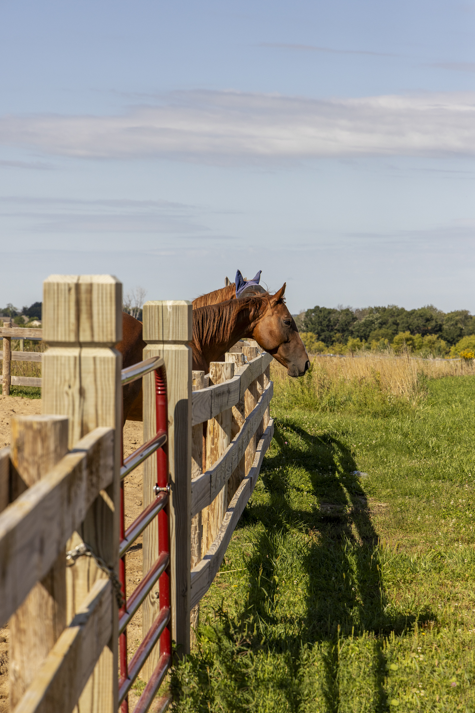 YMCA Camp Gathering Pines by Studio BV - Architizer