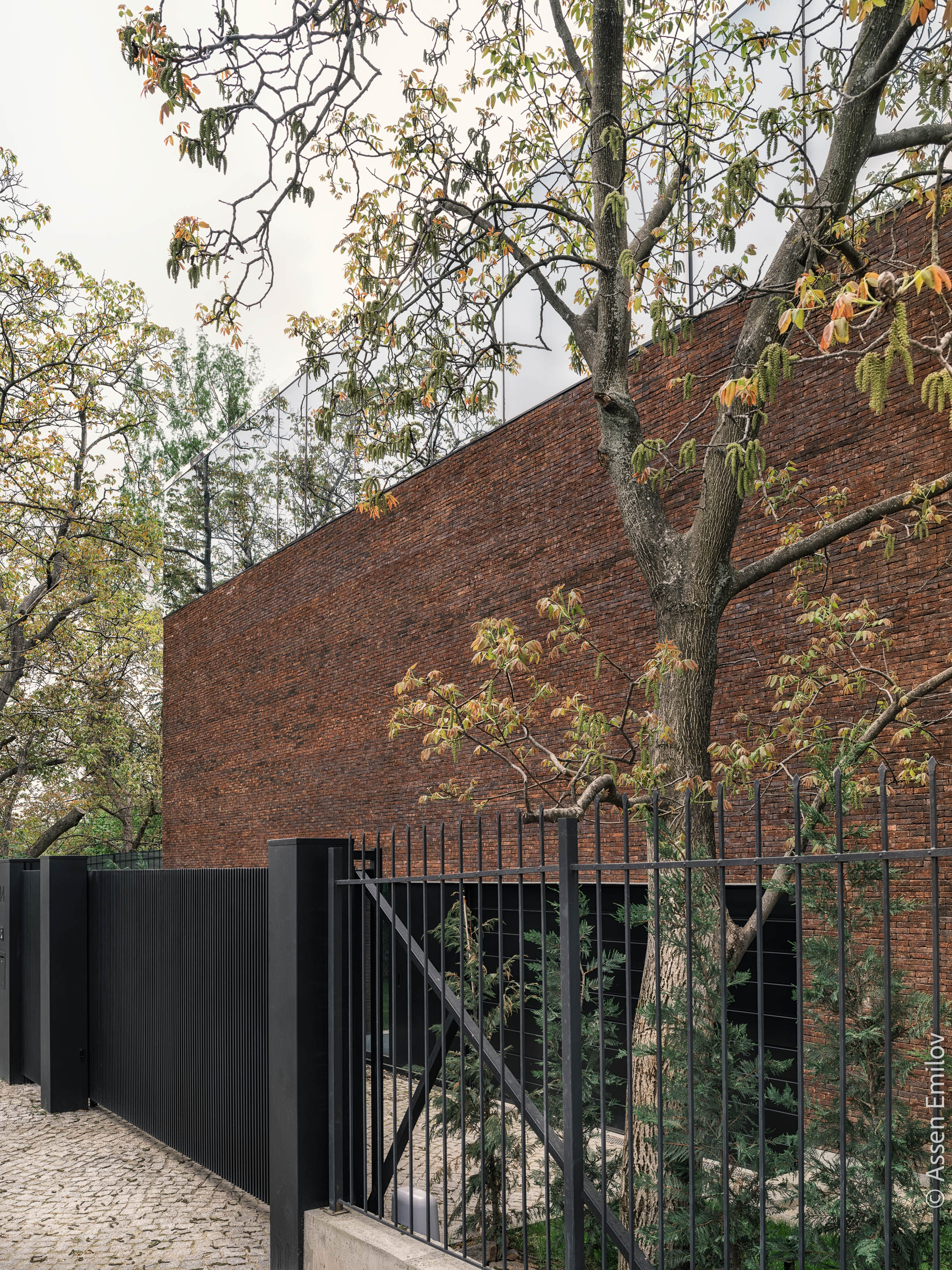 Apple Garden House by I/O architects - Architizer