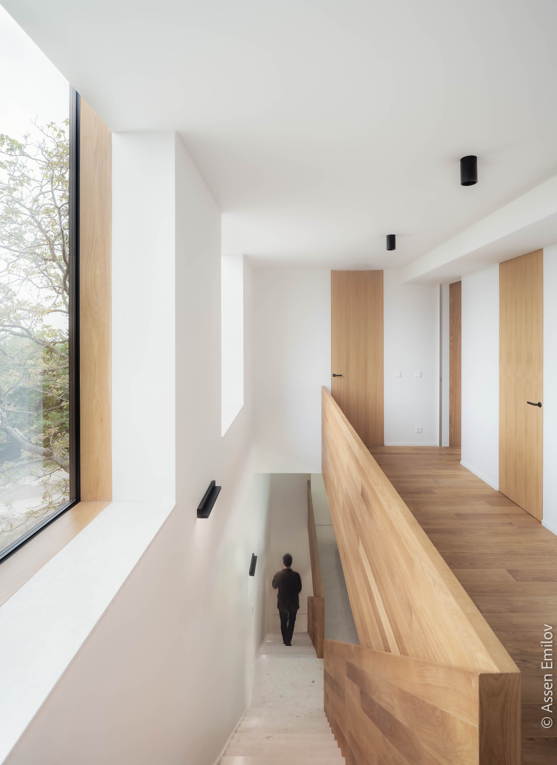 Apple Garden House by I/O architects - Architizer