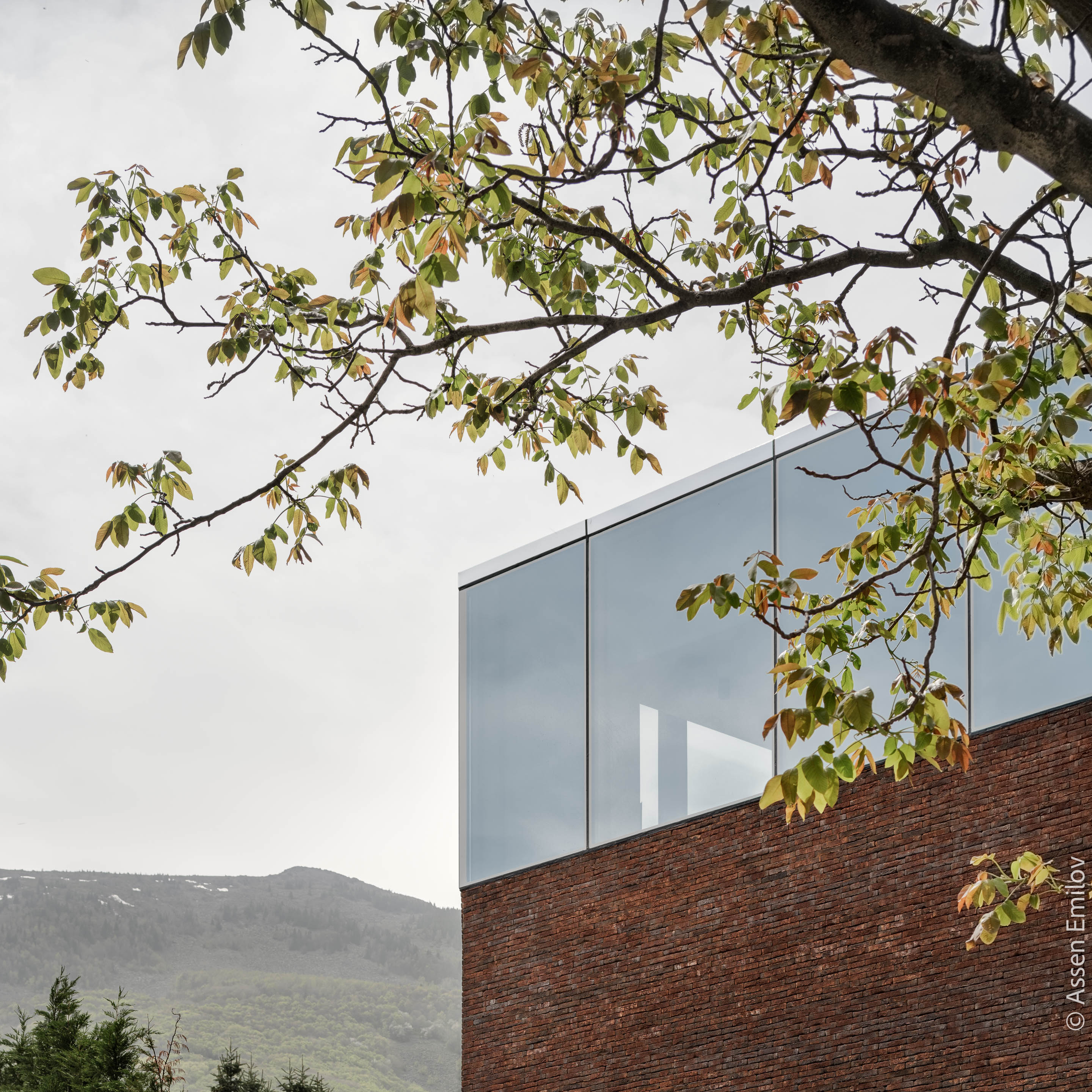 Apple Garden House by I/O architects - Architizer