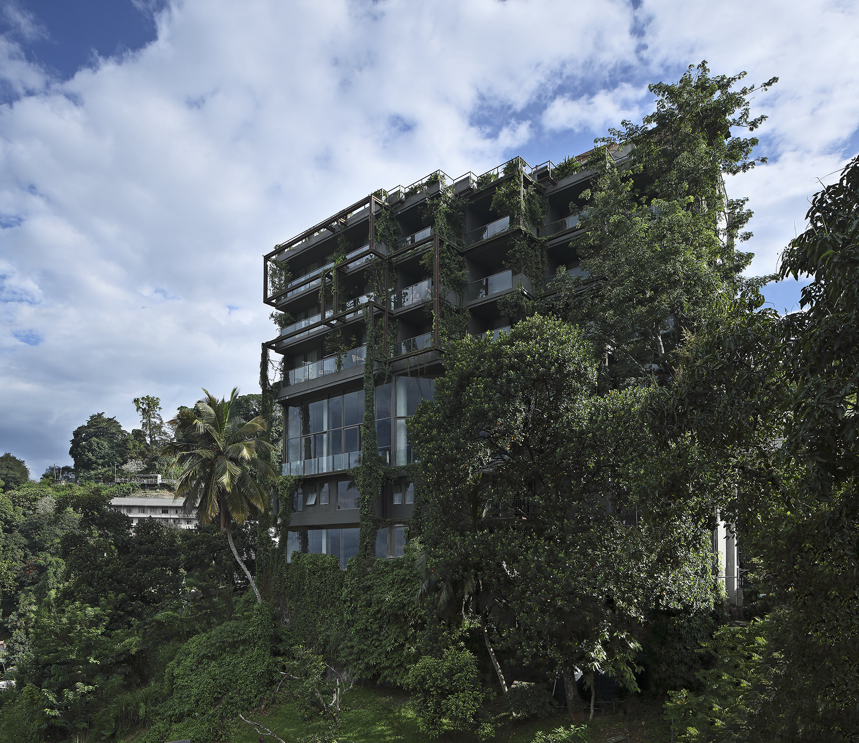 The Trees Hotel by CASAA - Contemporary Architecture Studio and ...