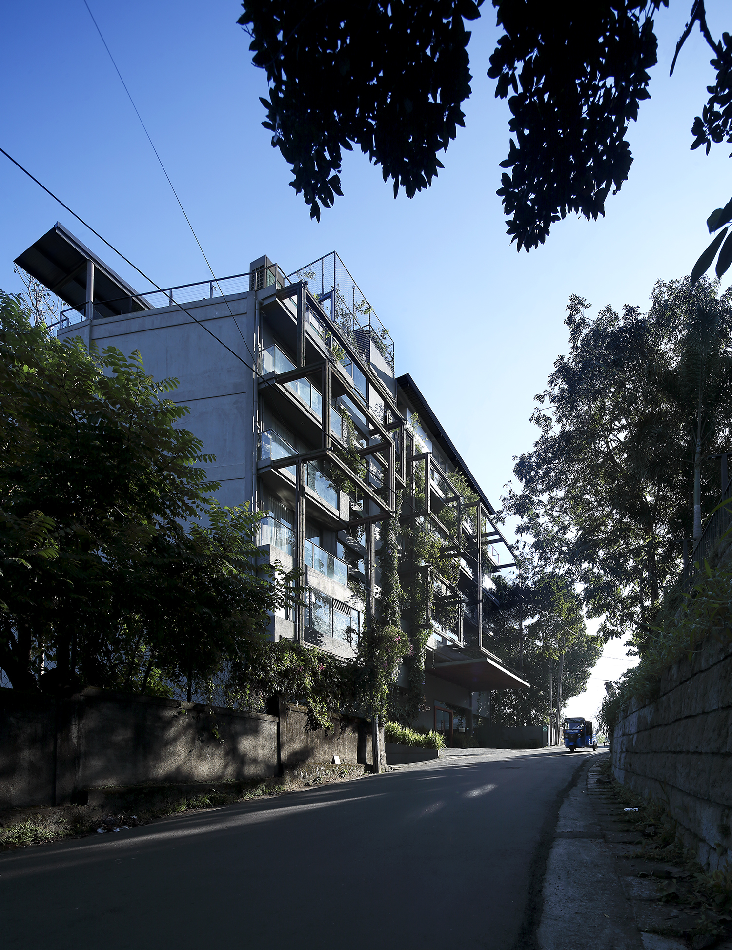 The Trees Hotel by CASAA - Contemporary Architecture Studio and ...