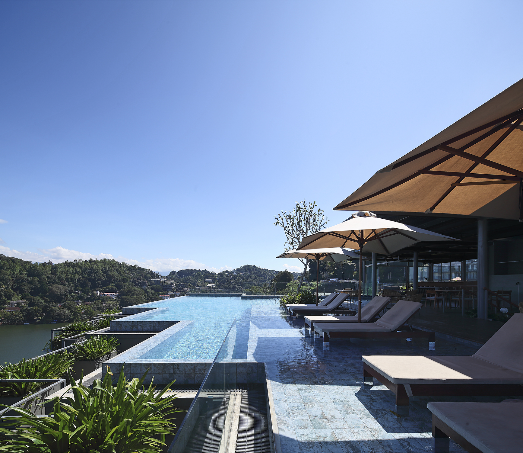 The Trees Hotel by CASAA - Contemporary Architecture Studio and ...