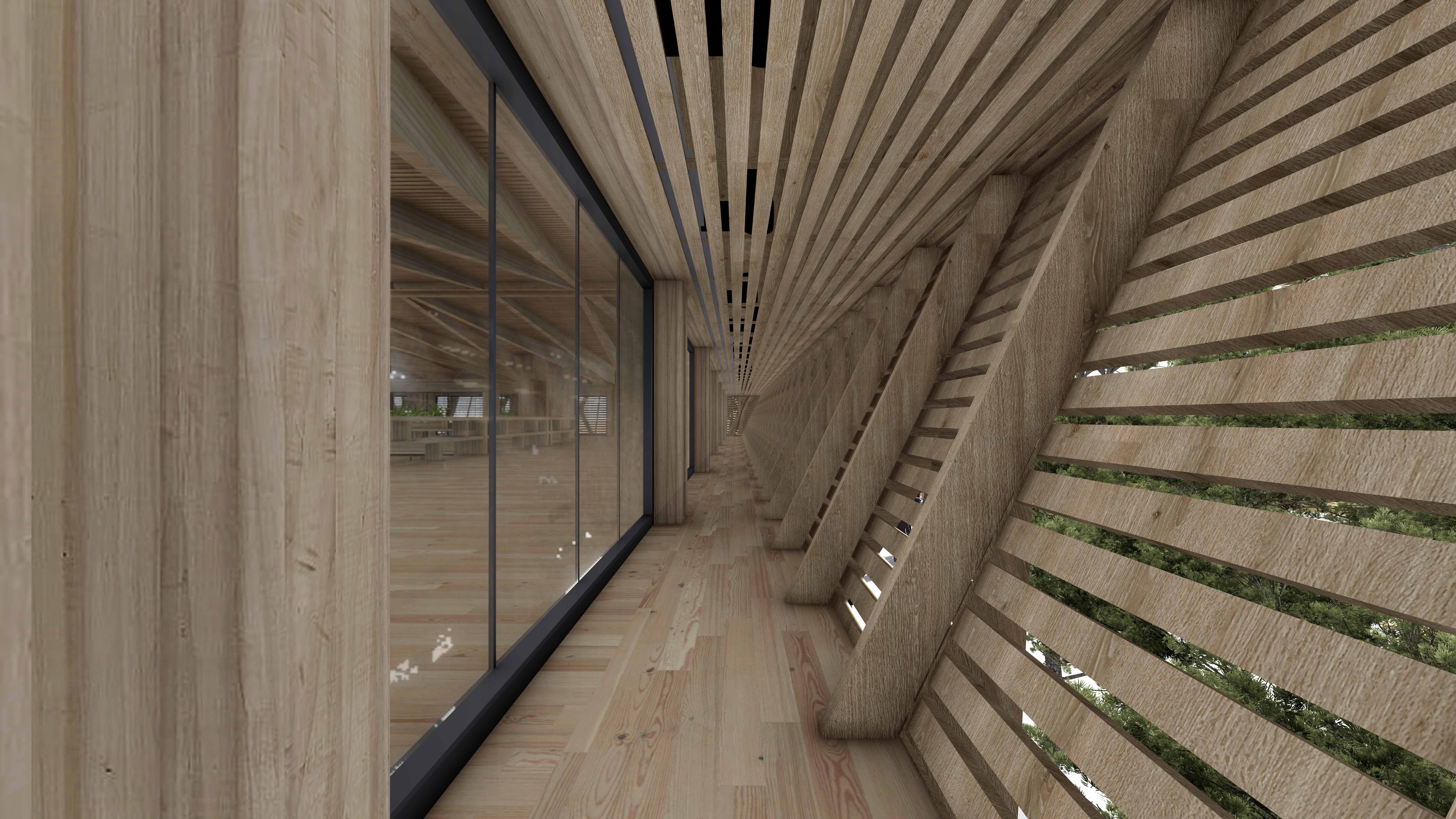Kyathos I Mass Timber Arena by KAAF I Kitriniaris Associates ...