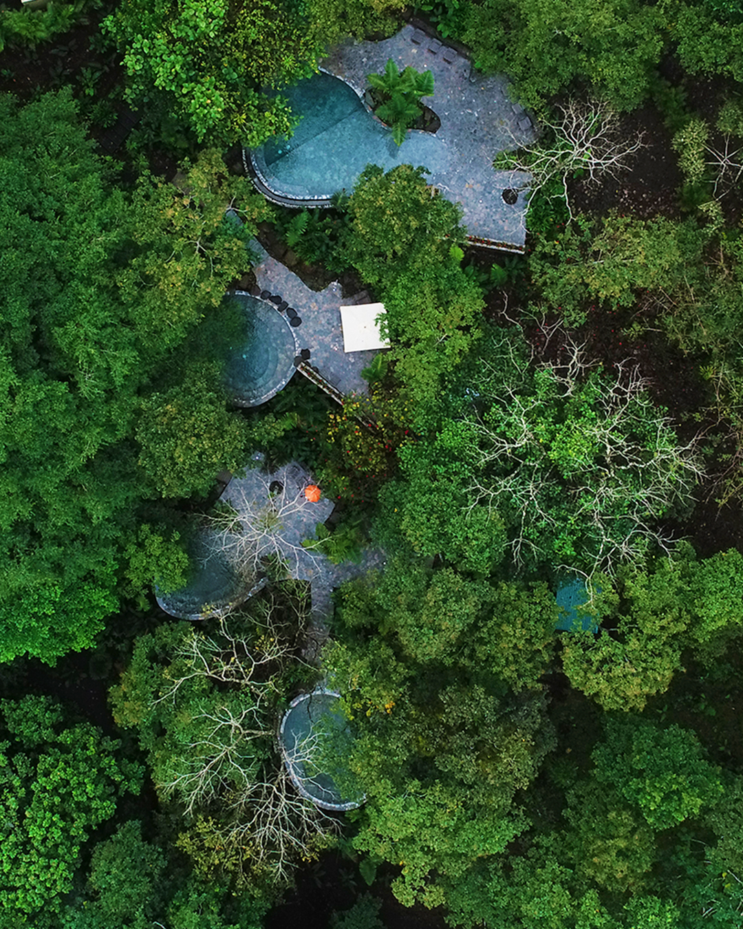 Nayara Tented Camp by VIDA MASTERPLANNING + DESIGN - Architizer