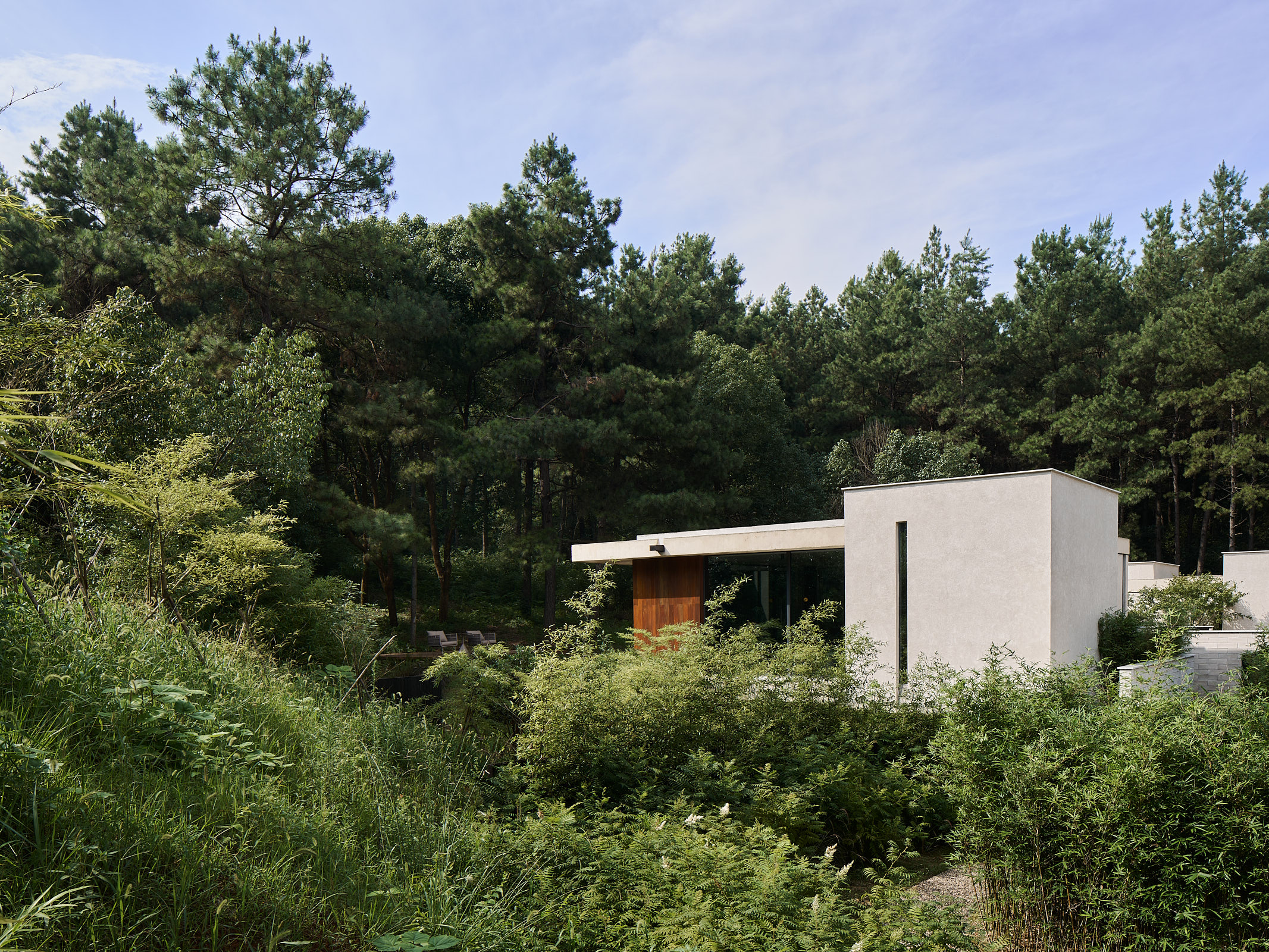 PINE VILLA by STUDIO8 ARCHITECTS - Architizer