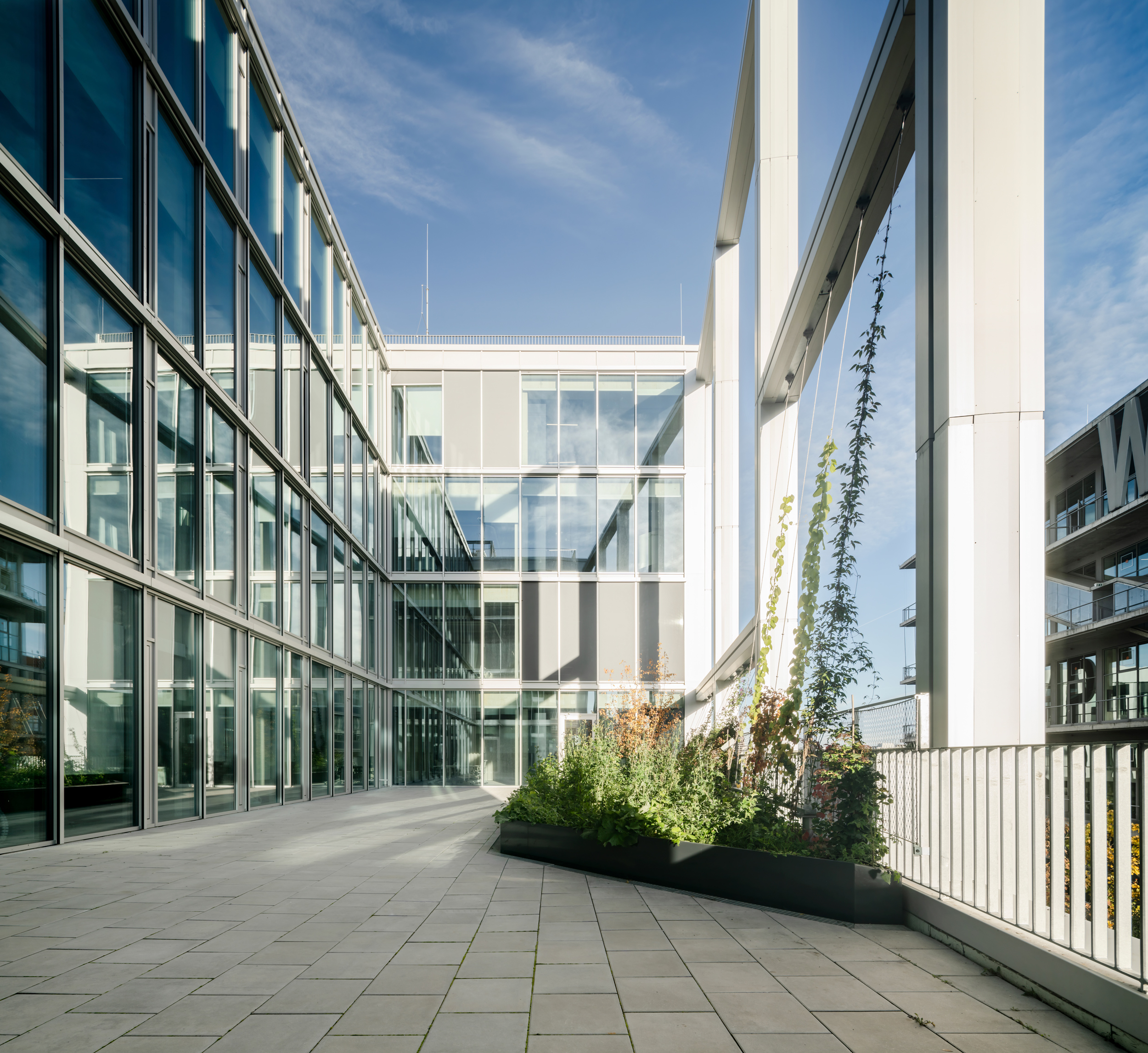 WACKER House by C.F. Møller Architects - Architizer