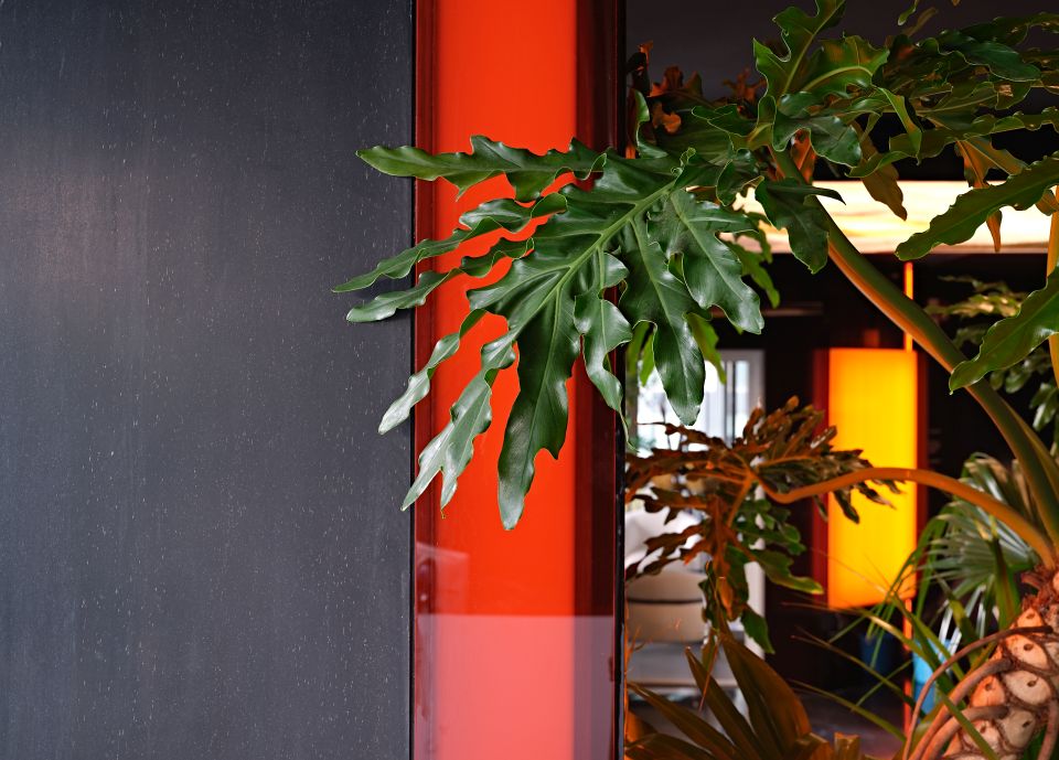 CHAMBER 28 by STUDIO8 ARCHITECTS - Architizer