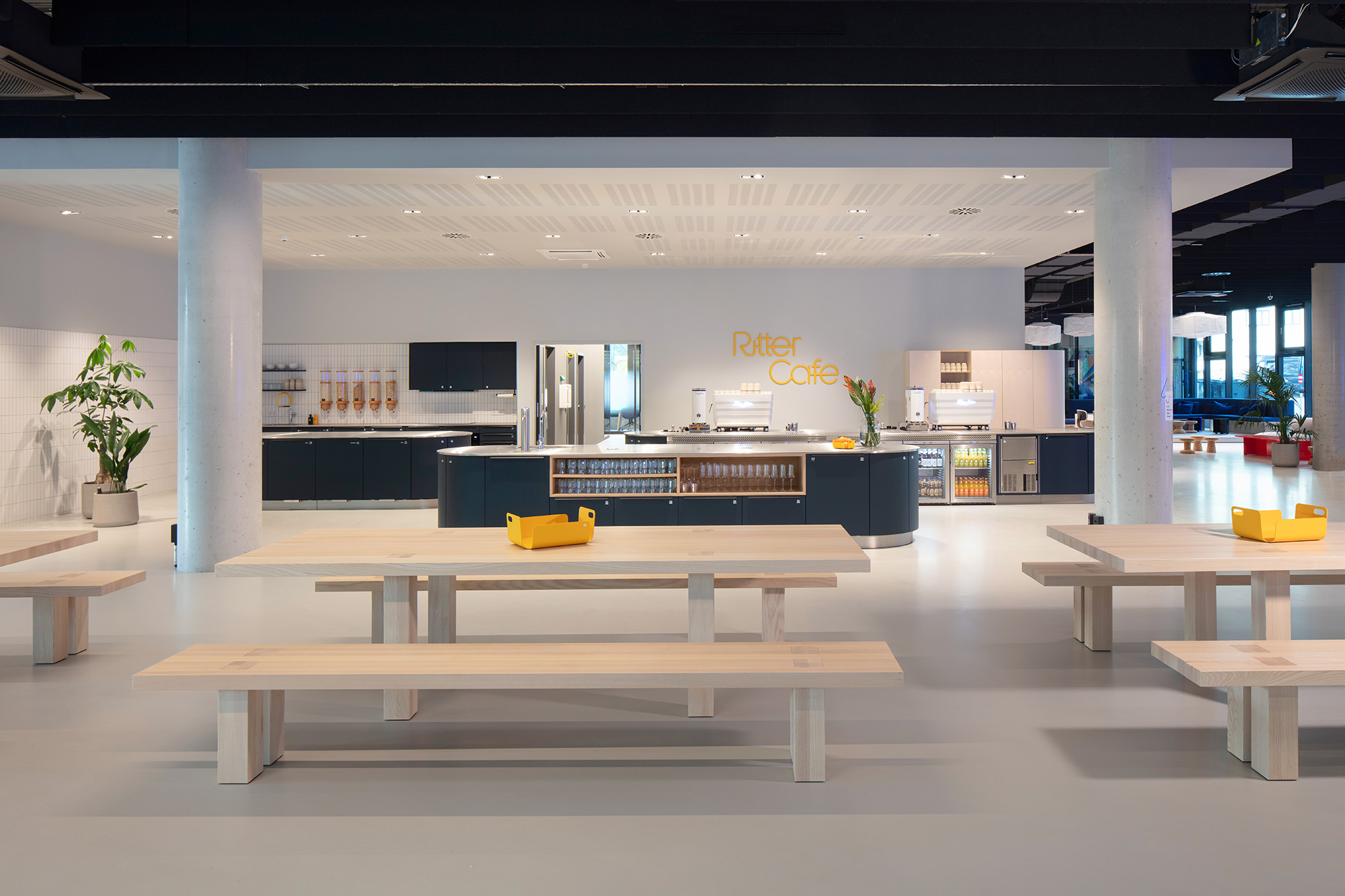 Contentful Office Branding & Workplace Branding Experience Design by ...