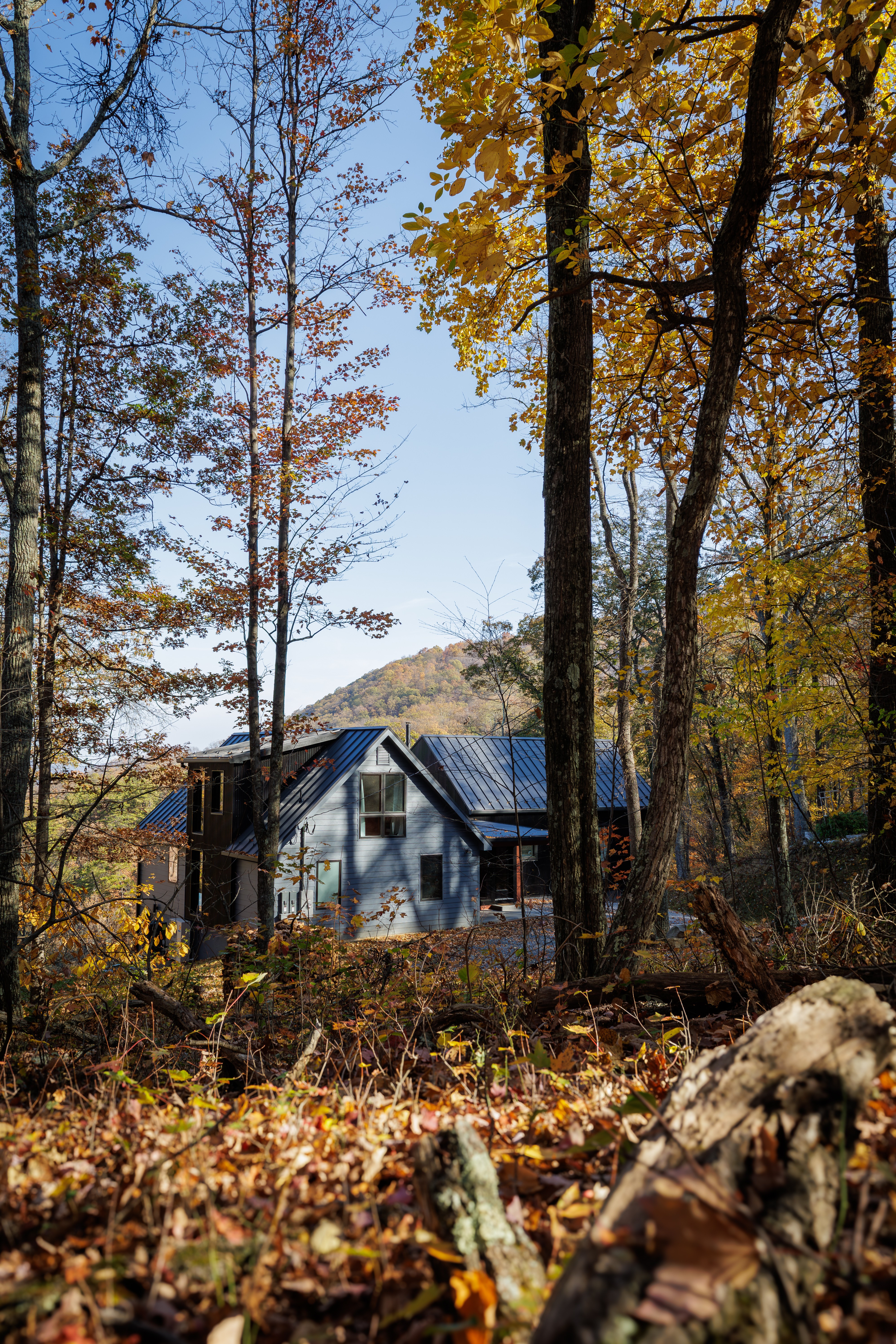 Razorback Ridge House by Reader & Swartz Architects, P.C. - Architizer