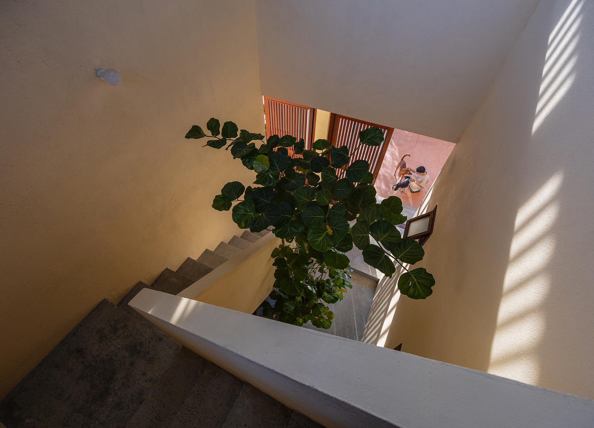 DB Horizon by SAL - Architizer