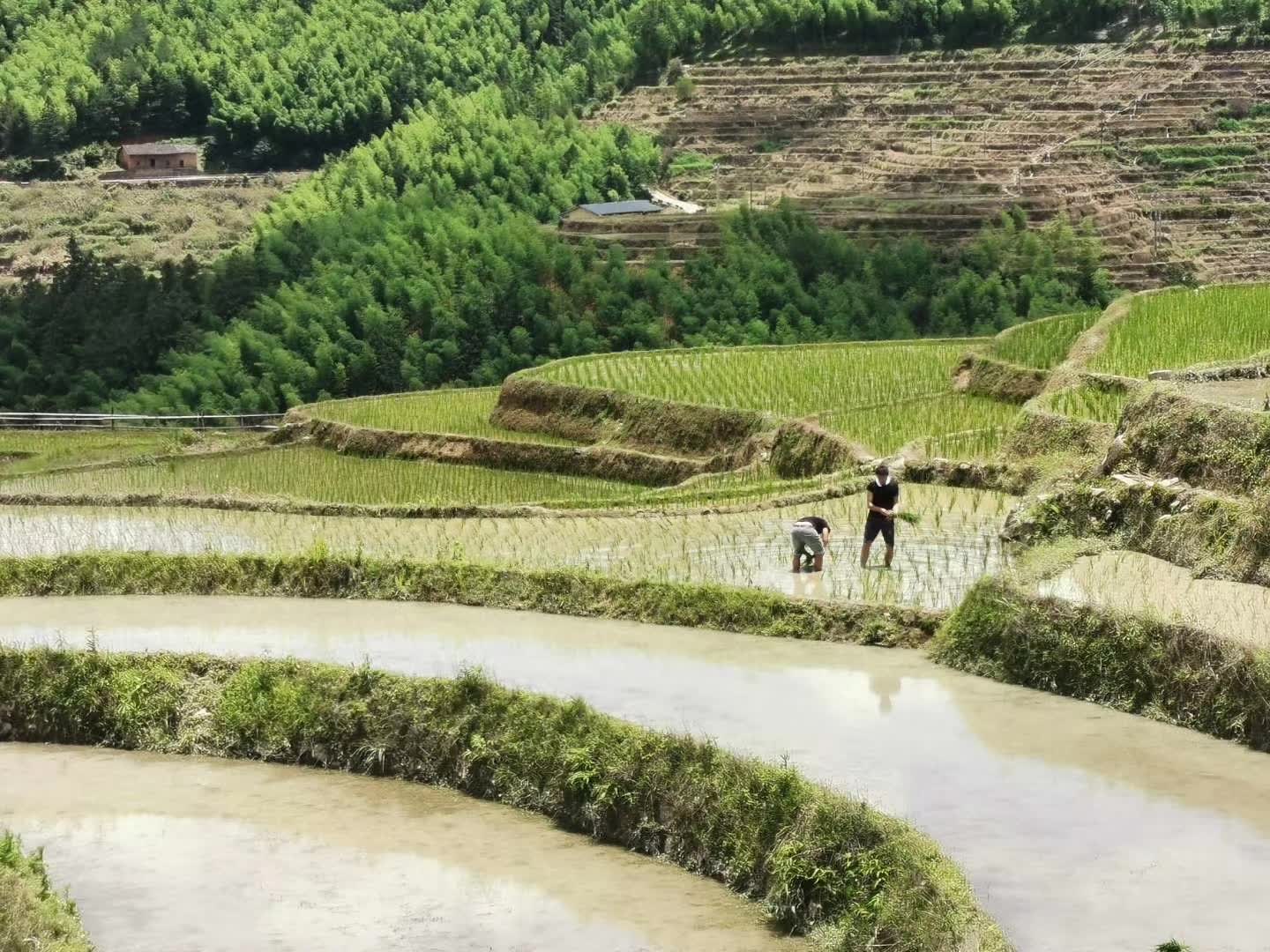 Dialogue with Nature—Commune STORE by Atelier Global - Architizer