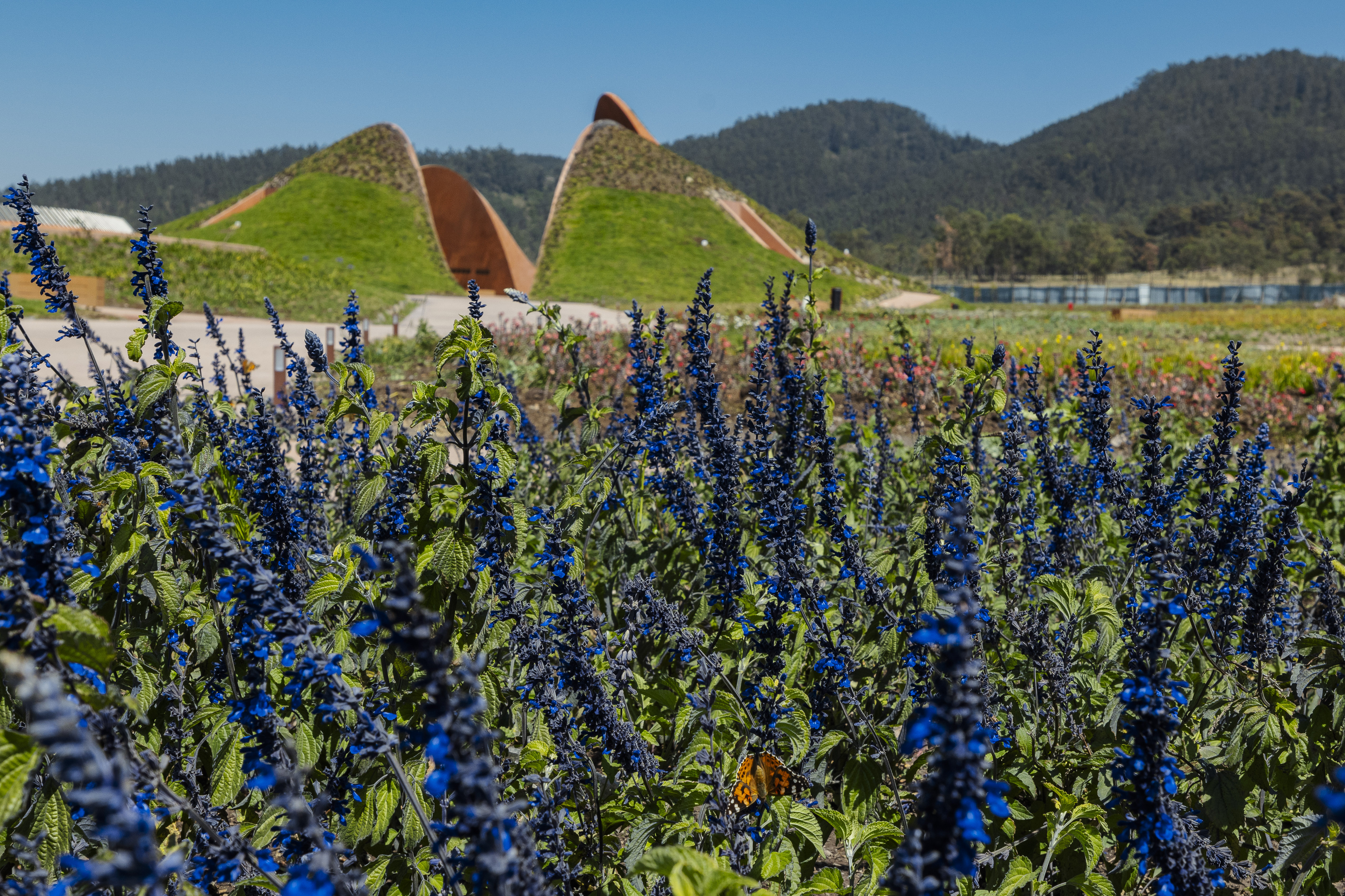 The ET-302 Memorial by Alebel Desta Consulting Architects and Engineers ...