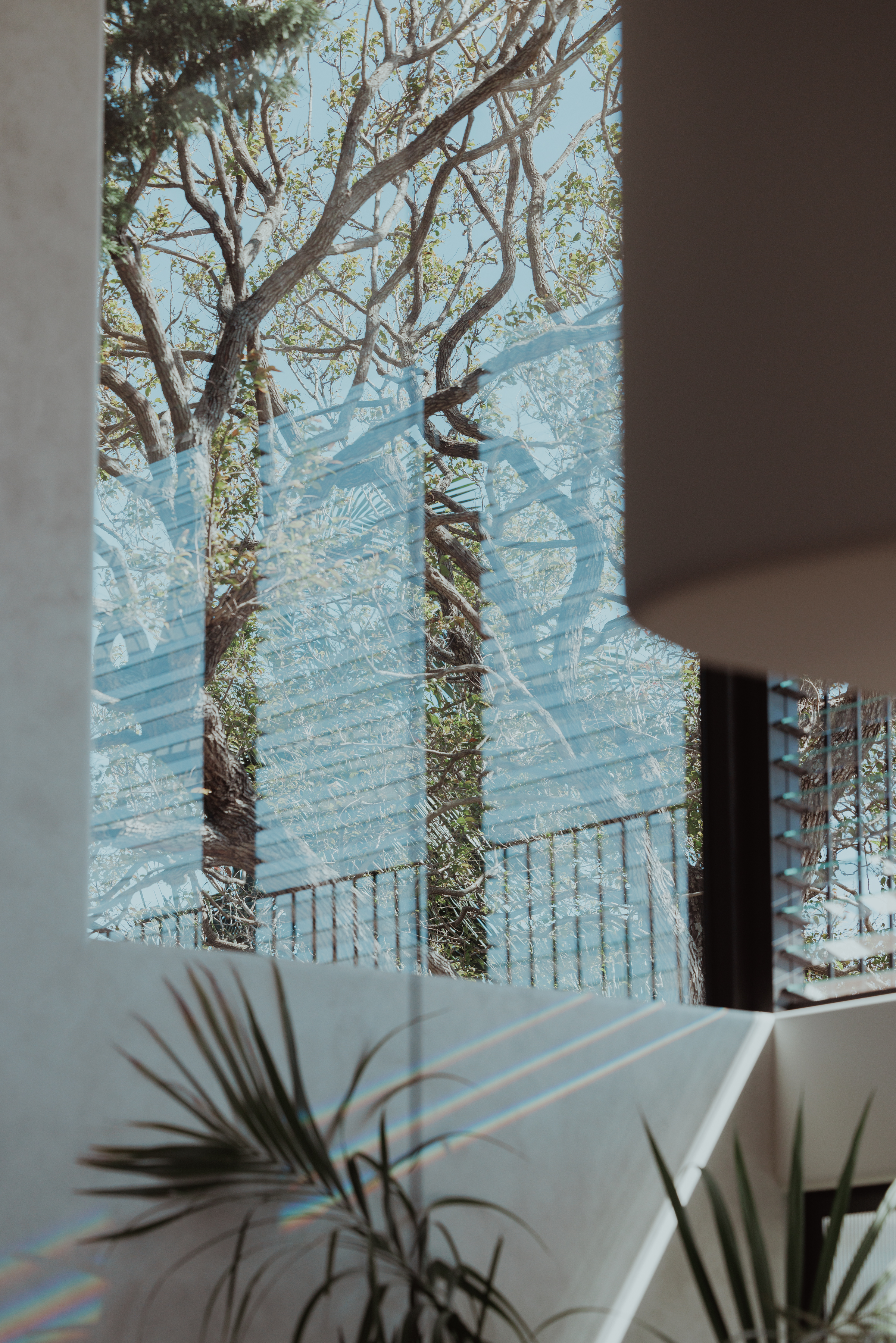 Idea 4176778: little birch by buckandsimple in Little Bay, Australia ...
