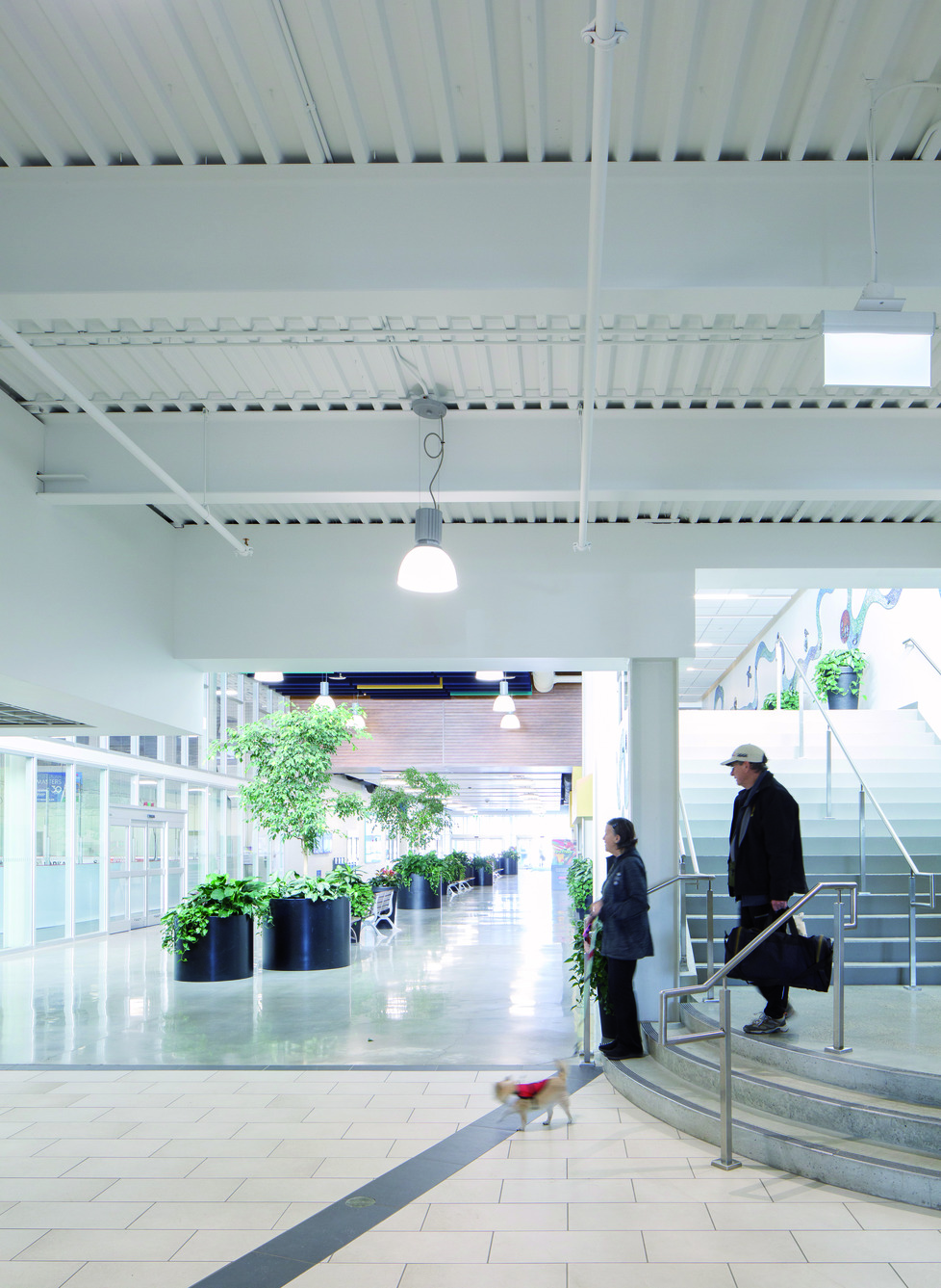G.H. Dawe Community Centre Expansion by Group 2 Architecture Interior ...