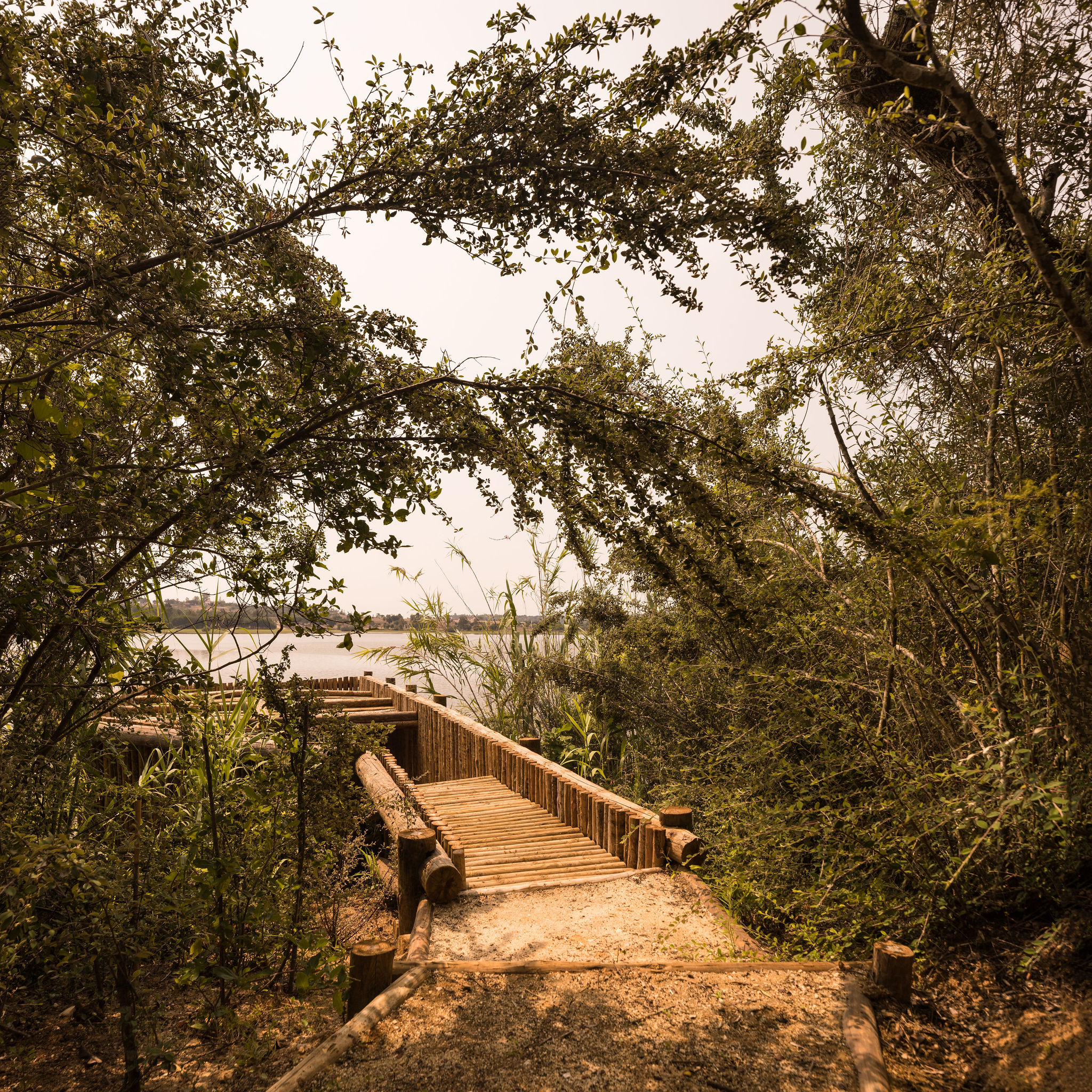 Diffuse Mirror by António Costa Lima Arquitectos - Architizer