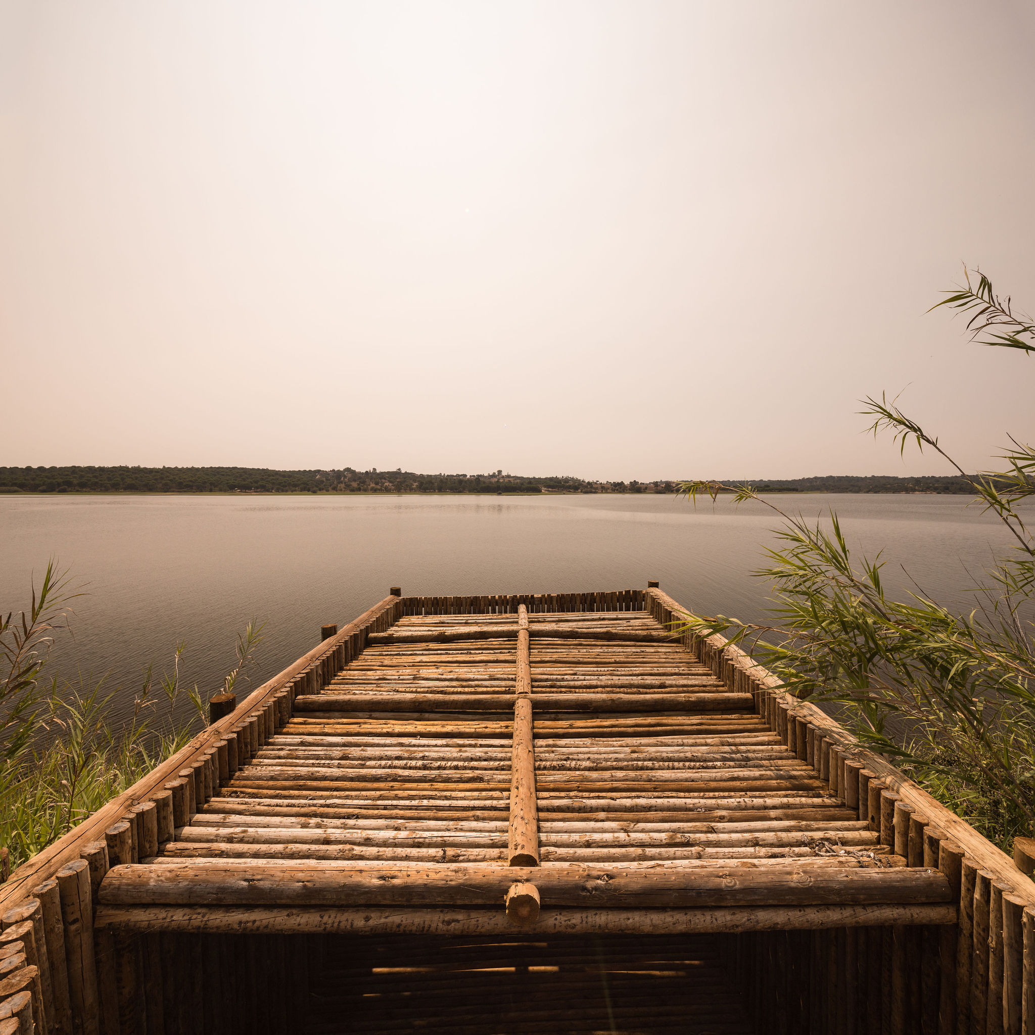 Diffuse Mirror by António Costa Lima Arquitectos - Architizer