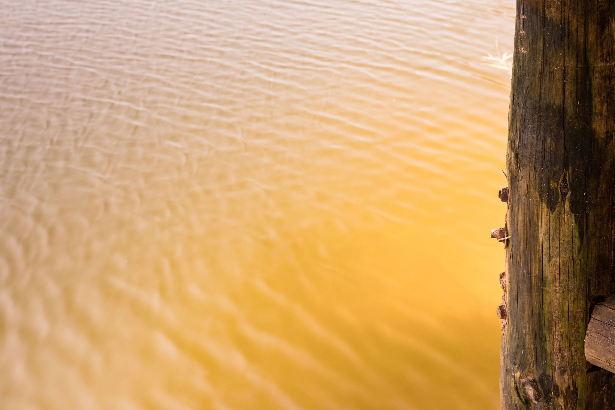 Diffuse Mirror by António Costa Lima Arquitectos - Architizer