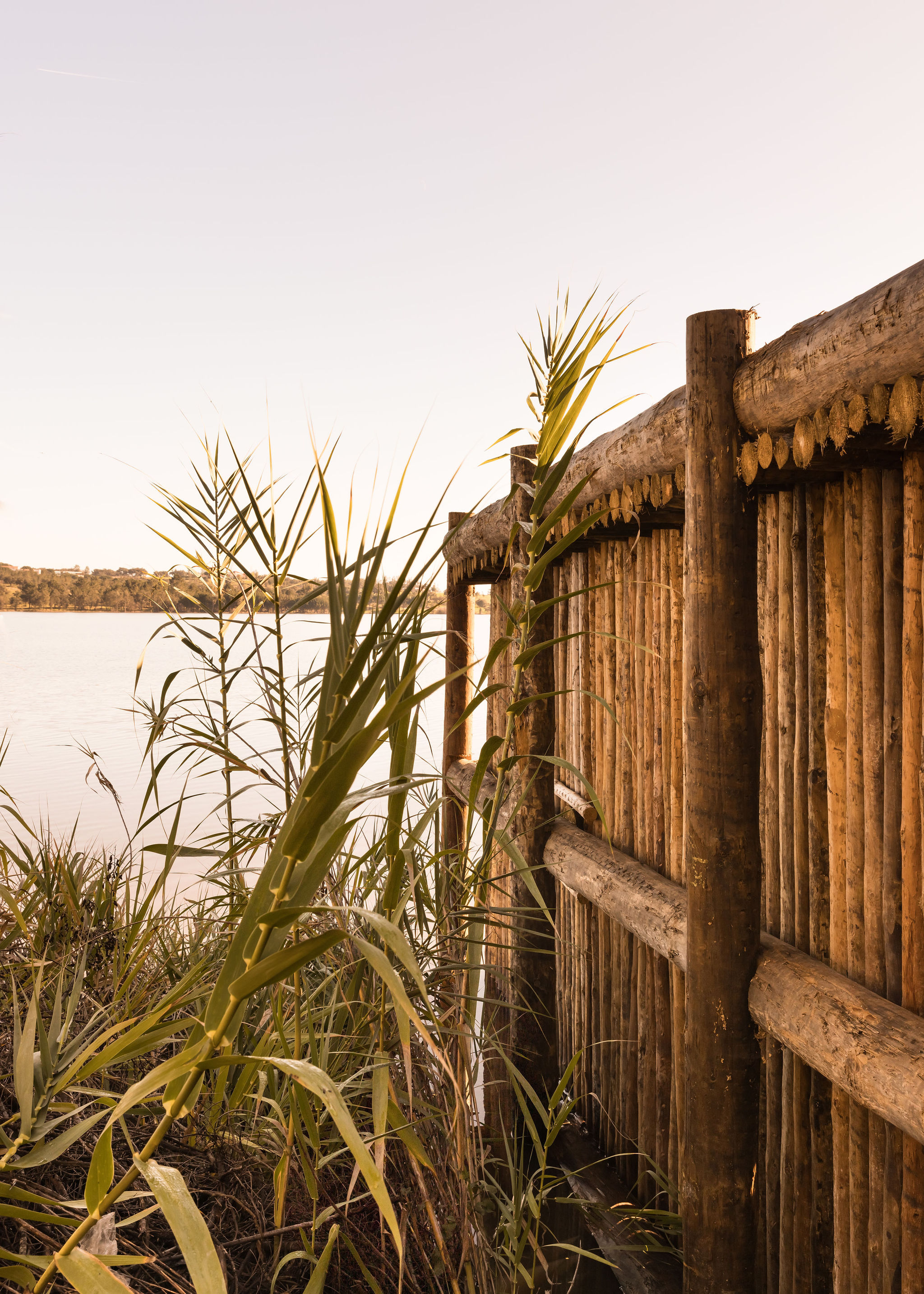 Diffuse Mirror by António Costa Lima Arquitectos - Architizer