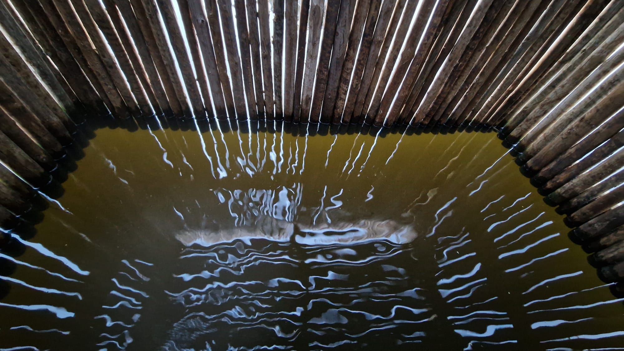 Diffuse Mirror by António Costa Lima Arquitectos - Architizer