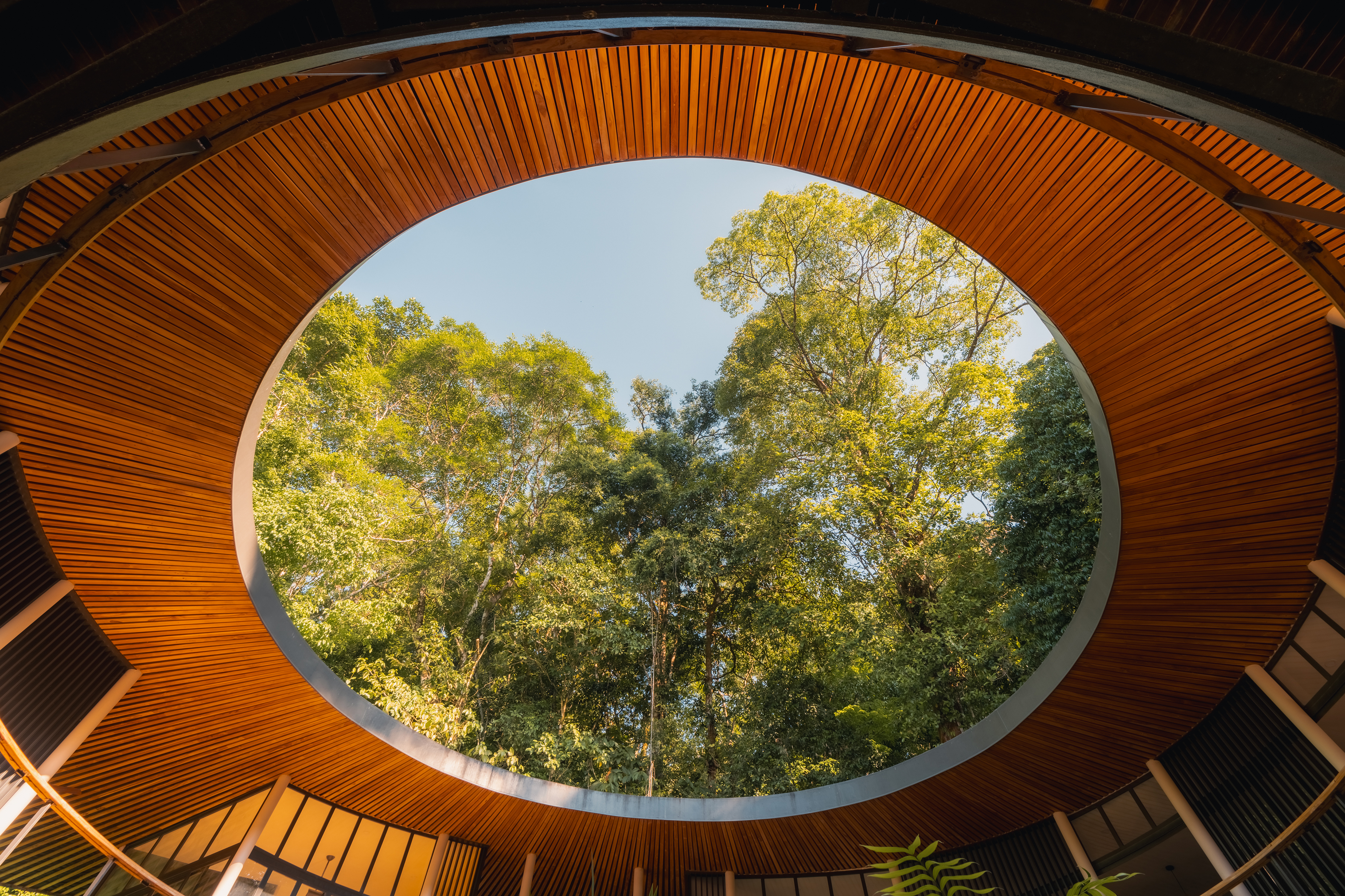 Sinfonía Verde by Studio Saxe - Architizer