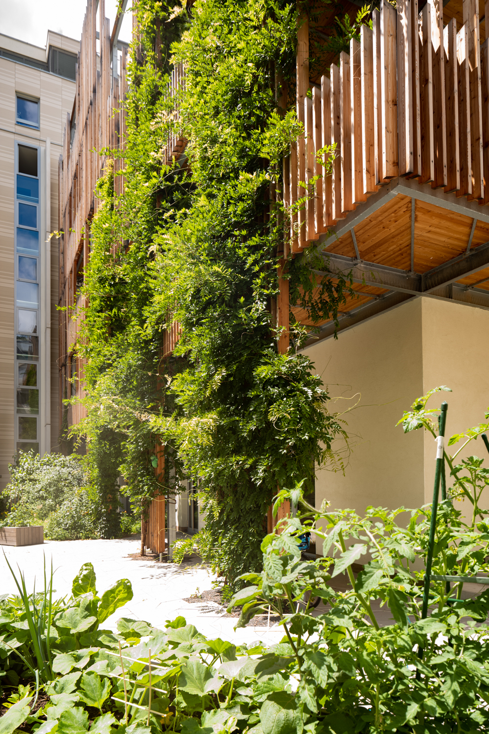 WOLF - Residential Building Wolfshof by GERNER GERNER PLUS. architekten ...