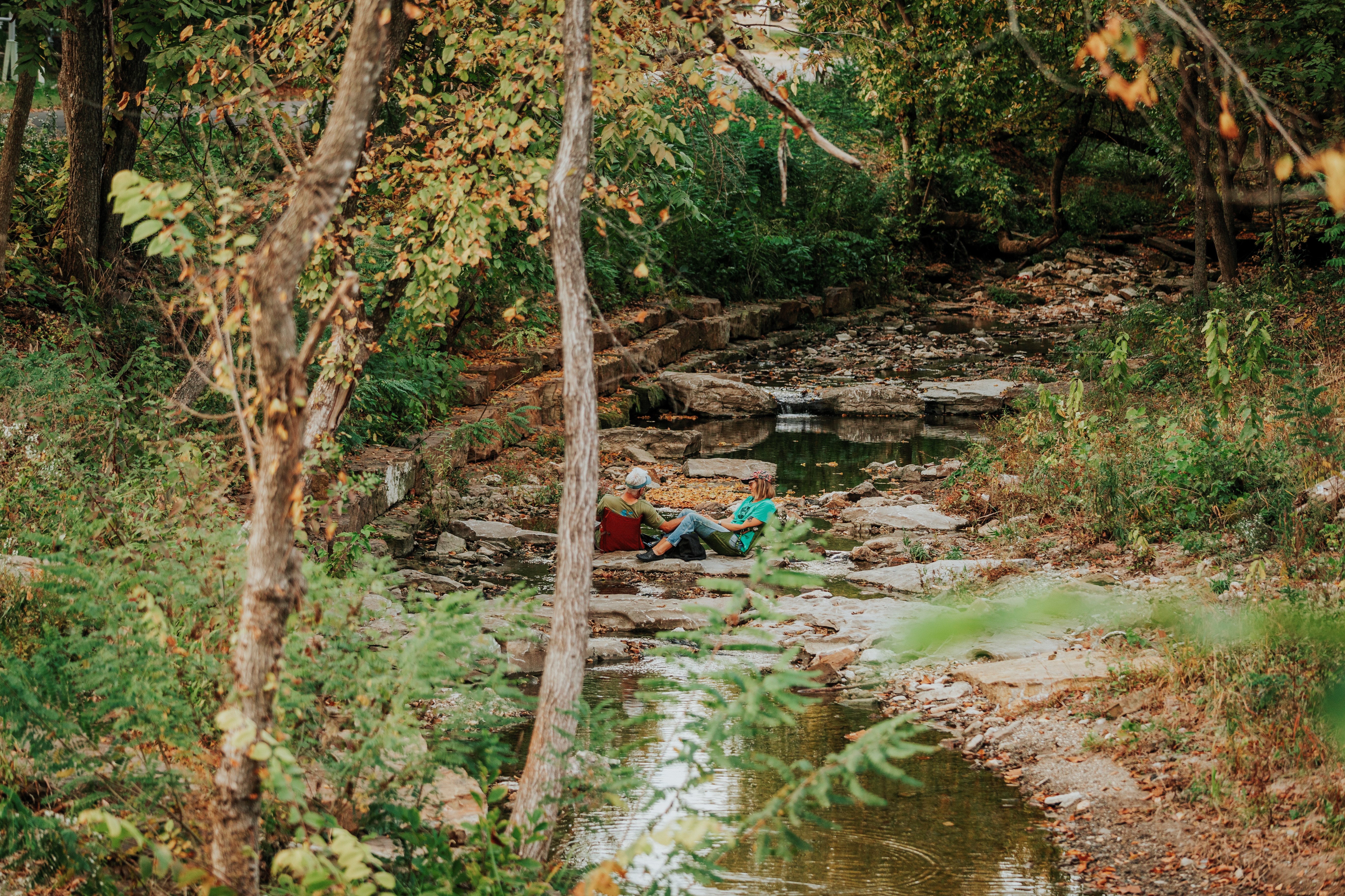 The Lower Ramble by Nelson Byrd Woltz Landscape Architects - Architizer