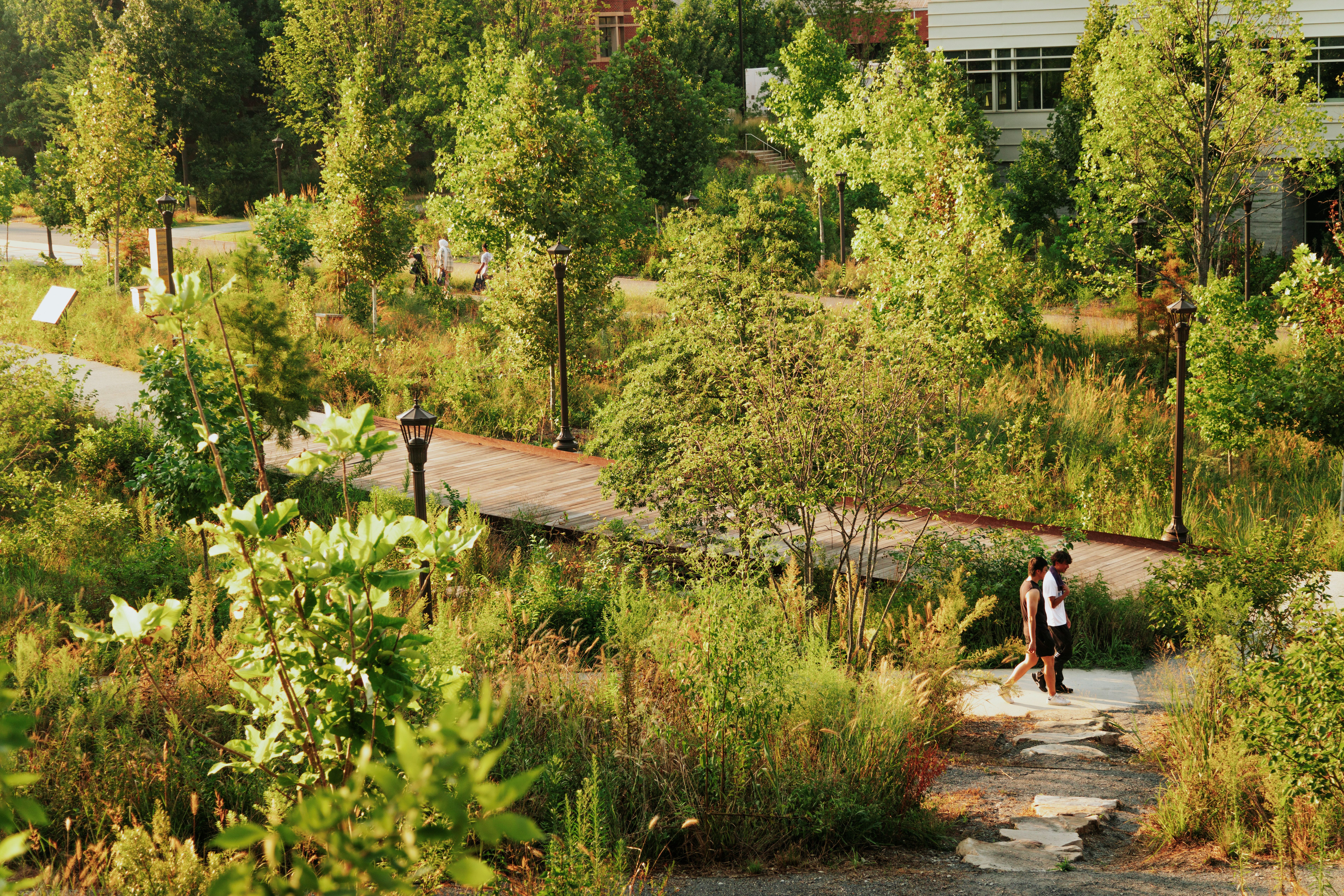 Georgia Institute of Technology EcoCommons by Nelson Byrd Woltz ...
