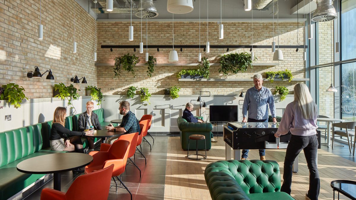 Lidl, London by M Moser Associates - Architizer