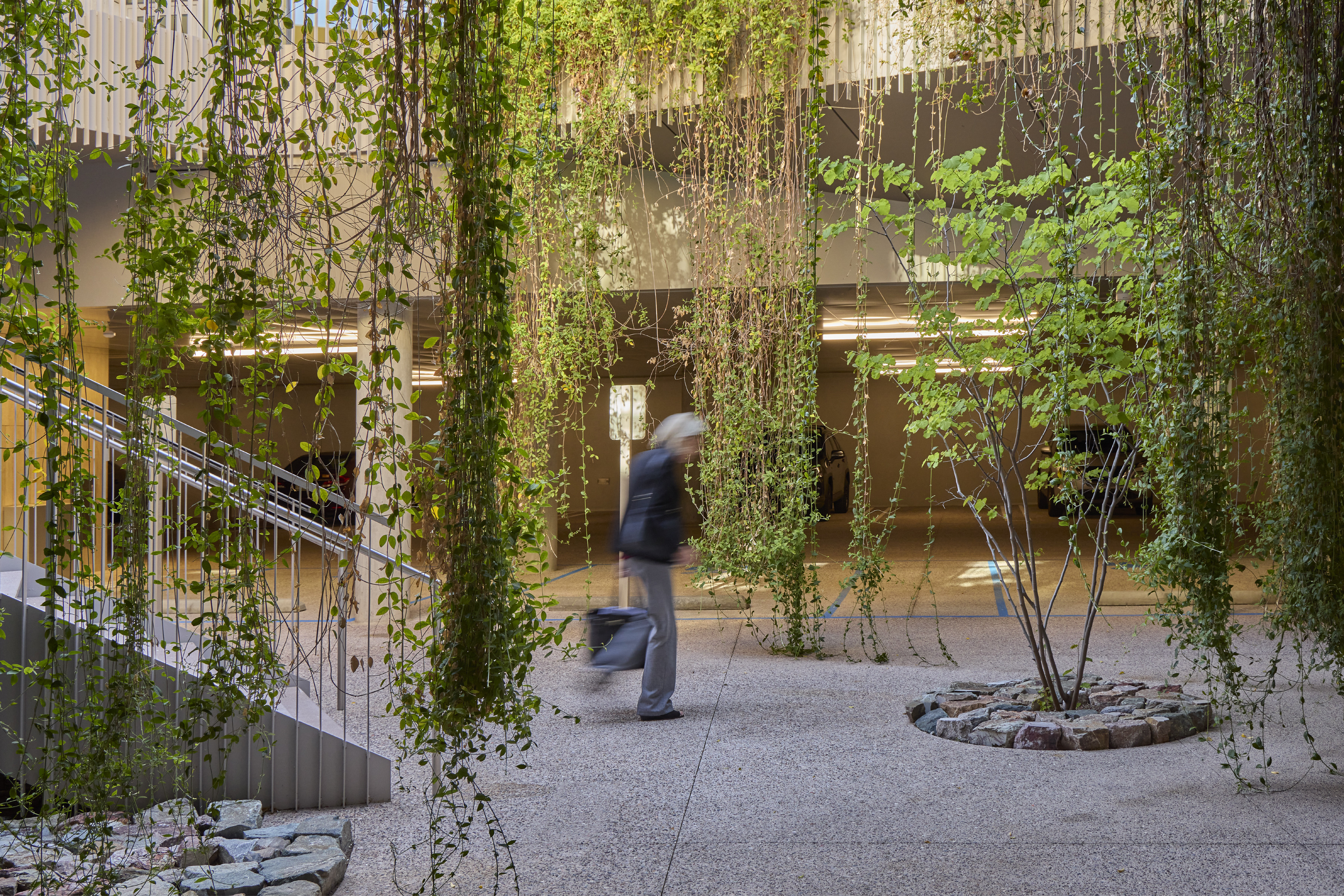 Helios Education Foundation by Colwell Shelor Landscape Architecture ...