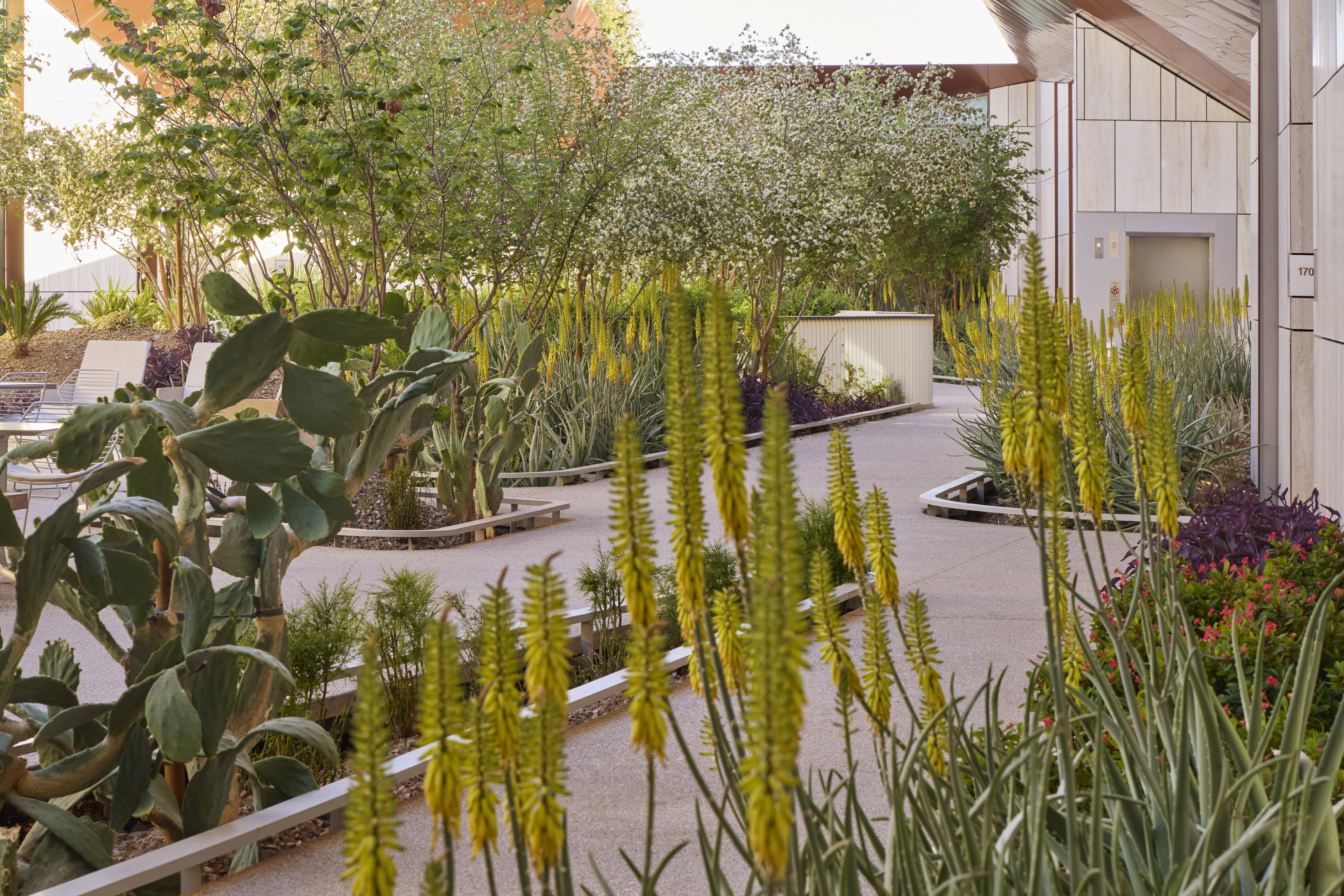 Helios Education Foundation by Colwell Shelor Landscape Architecture ...