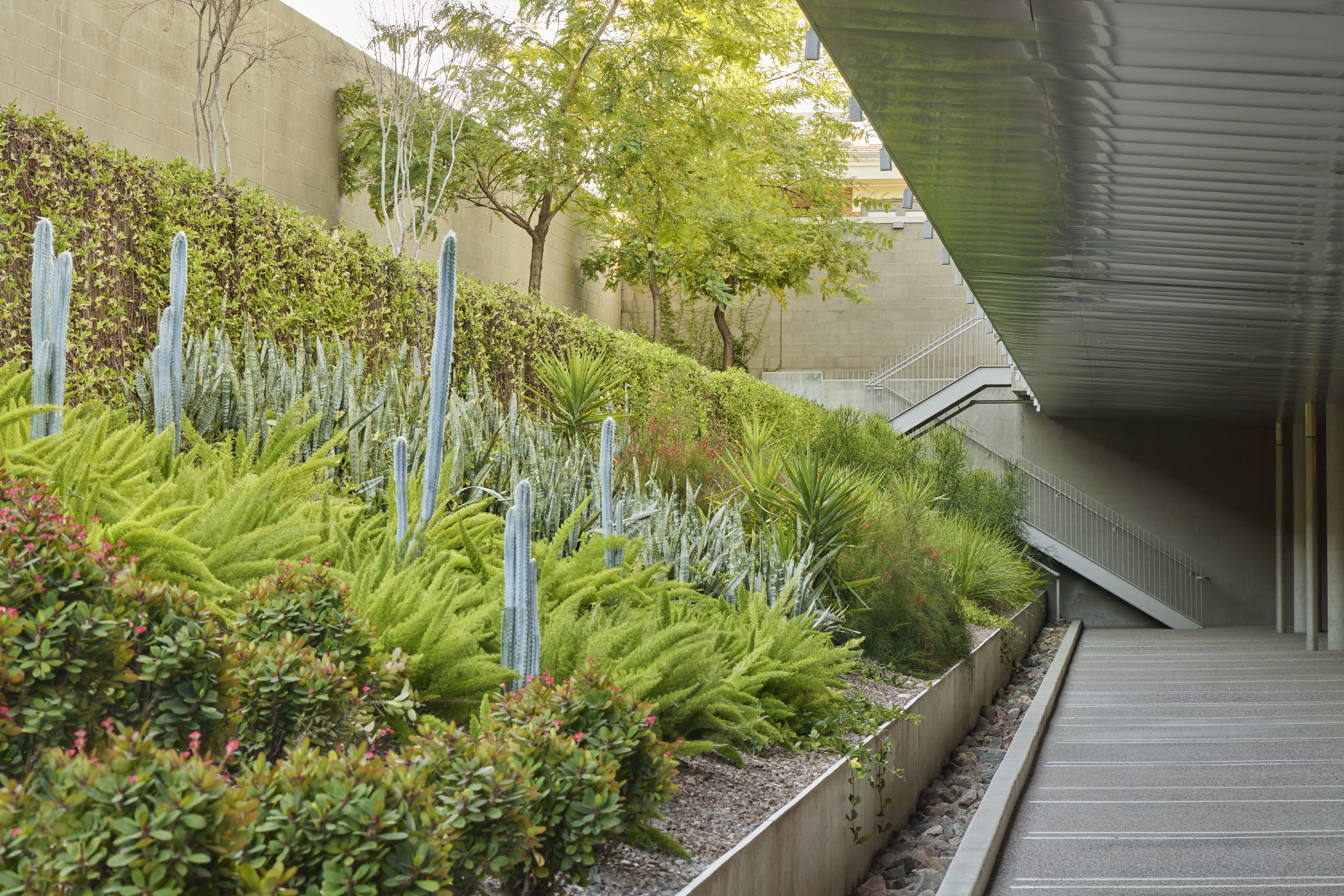 Idea 4189235: Helios Education Foundation by Colwell Shelor Landscape ...