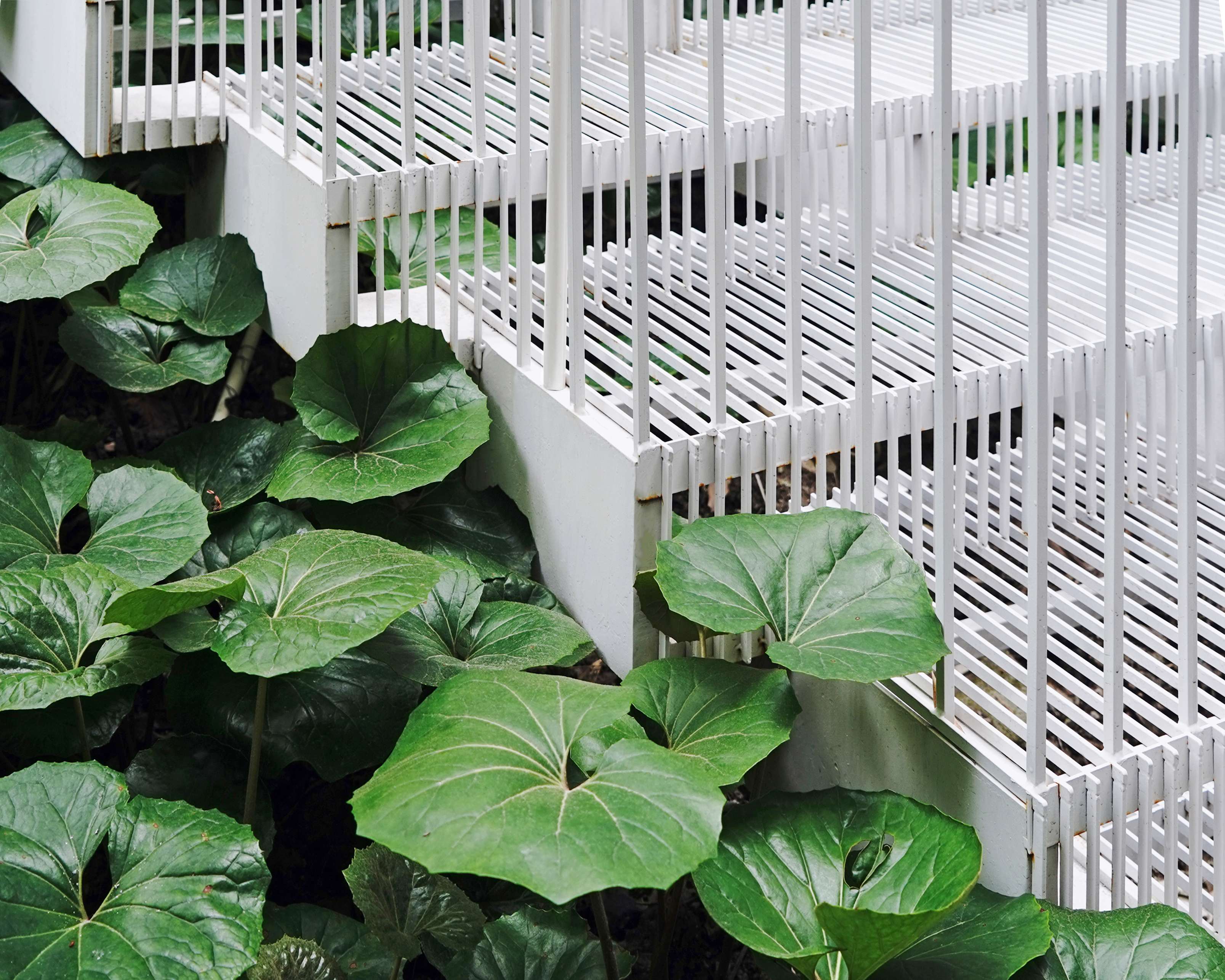Yanlord Arcadia_Lacy Steps by TROP : terrains + open space - Architizer