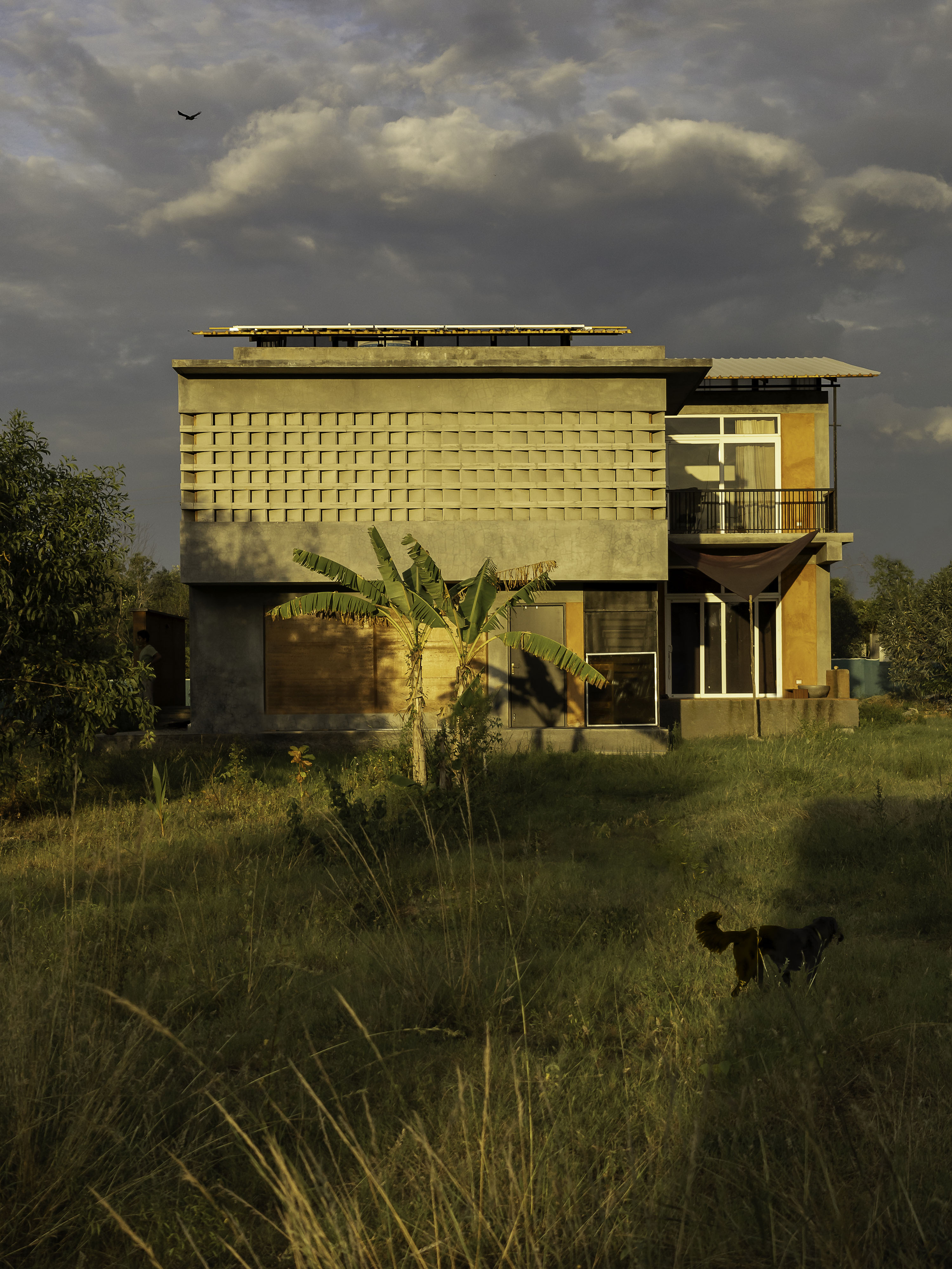 Residences at White Mongoose by Bayhauz - Architizer