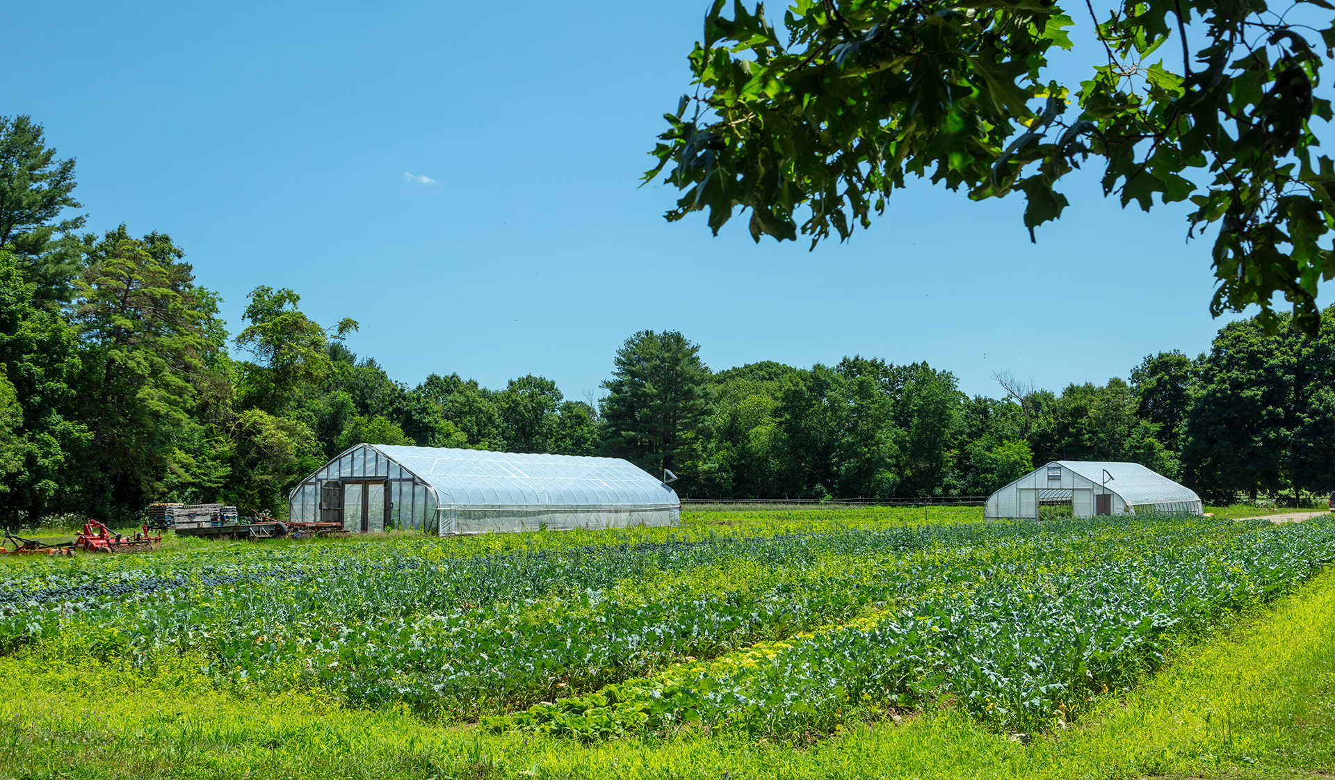 Land's Sake Farm, New Farmstand, Education Pavilion and Barn by PAYETTE ...