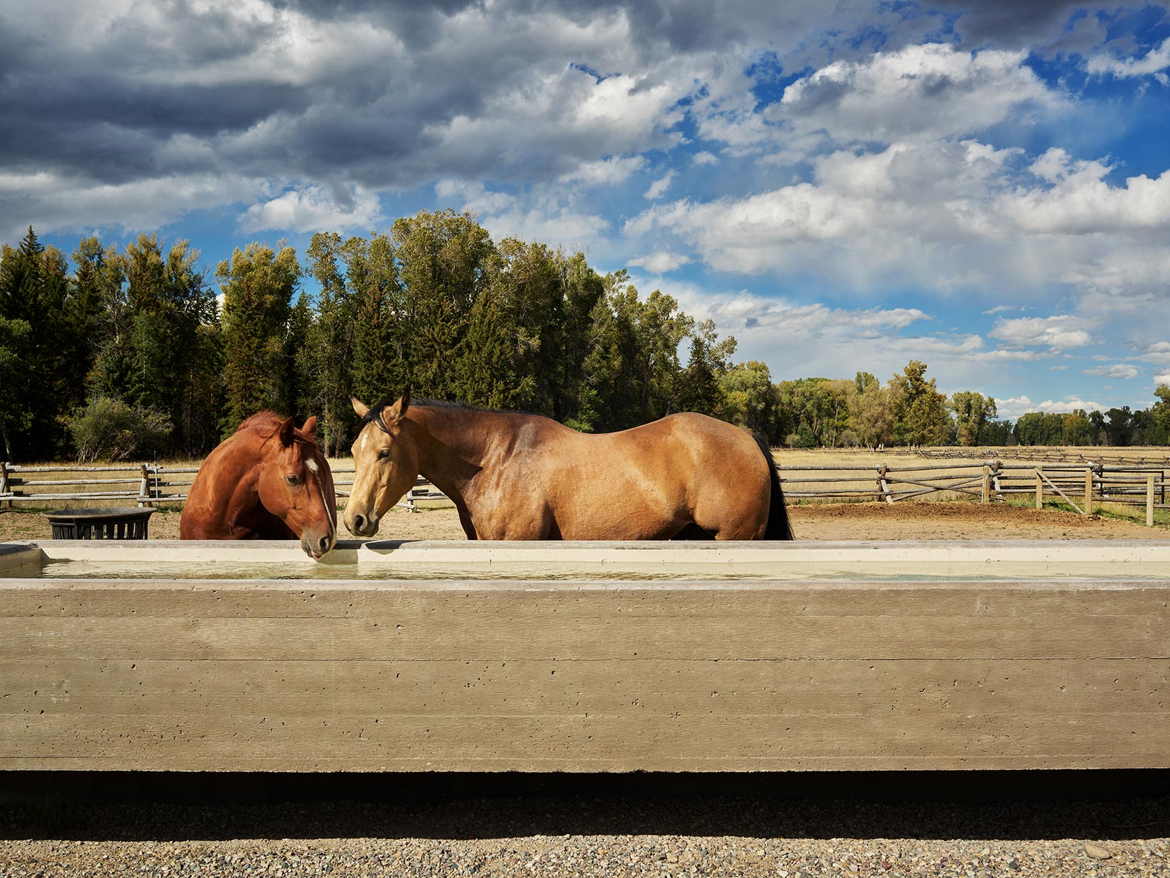 Black Fox Ranch by CLB Architects - Architizer