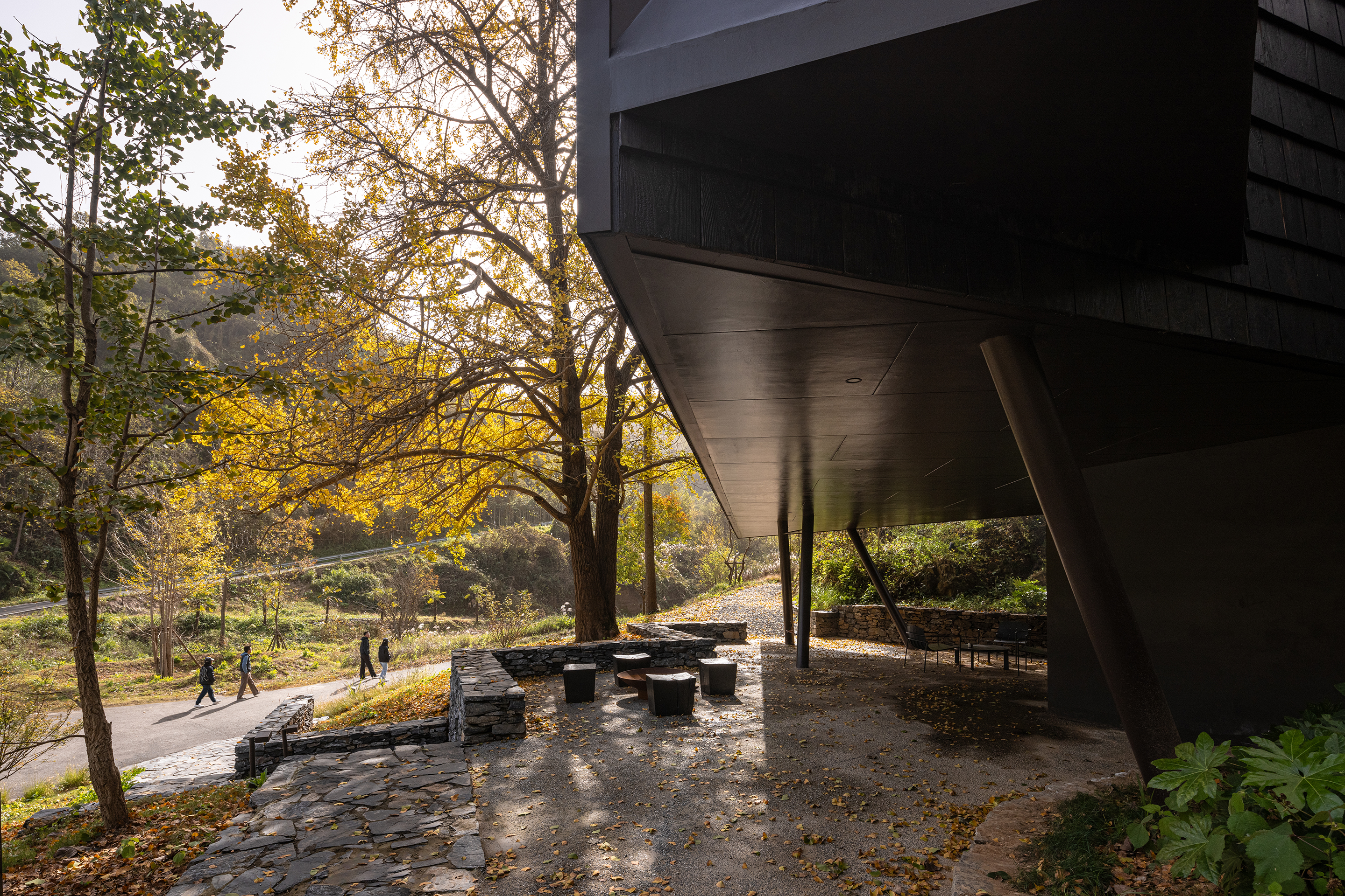 Ginkgo Valley·Treehouse by Moguang Studio - Architizer